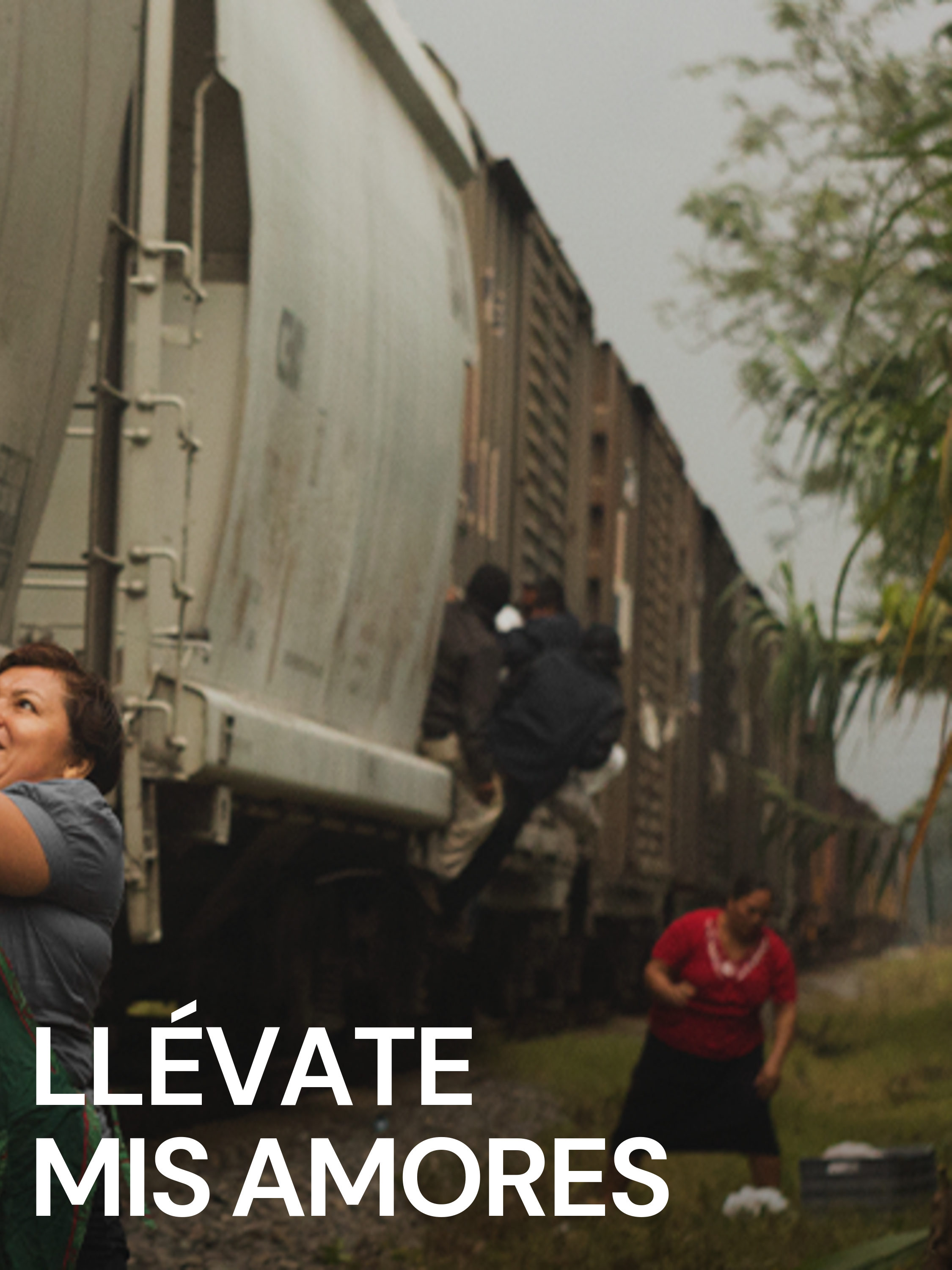 Prime Video: Llévate mis amores