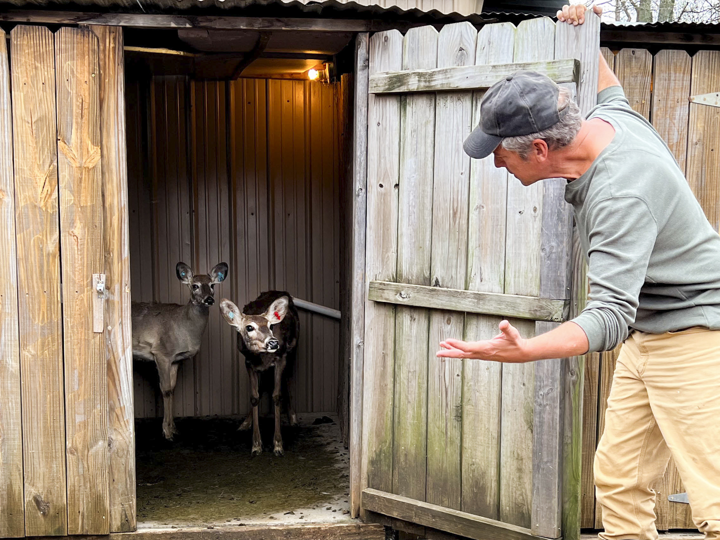 Prime Video: Dirty Jobs - Season 10