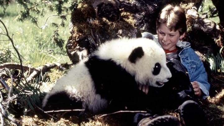 Prime Video: The Amazing Panda Adventure
