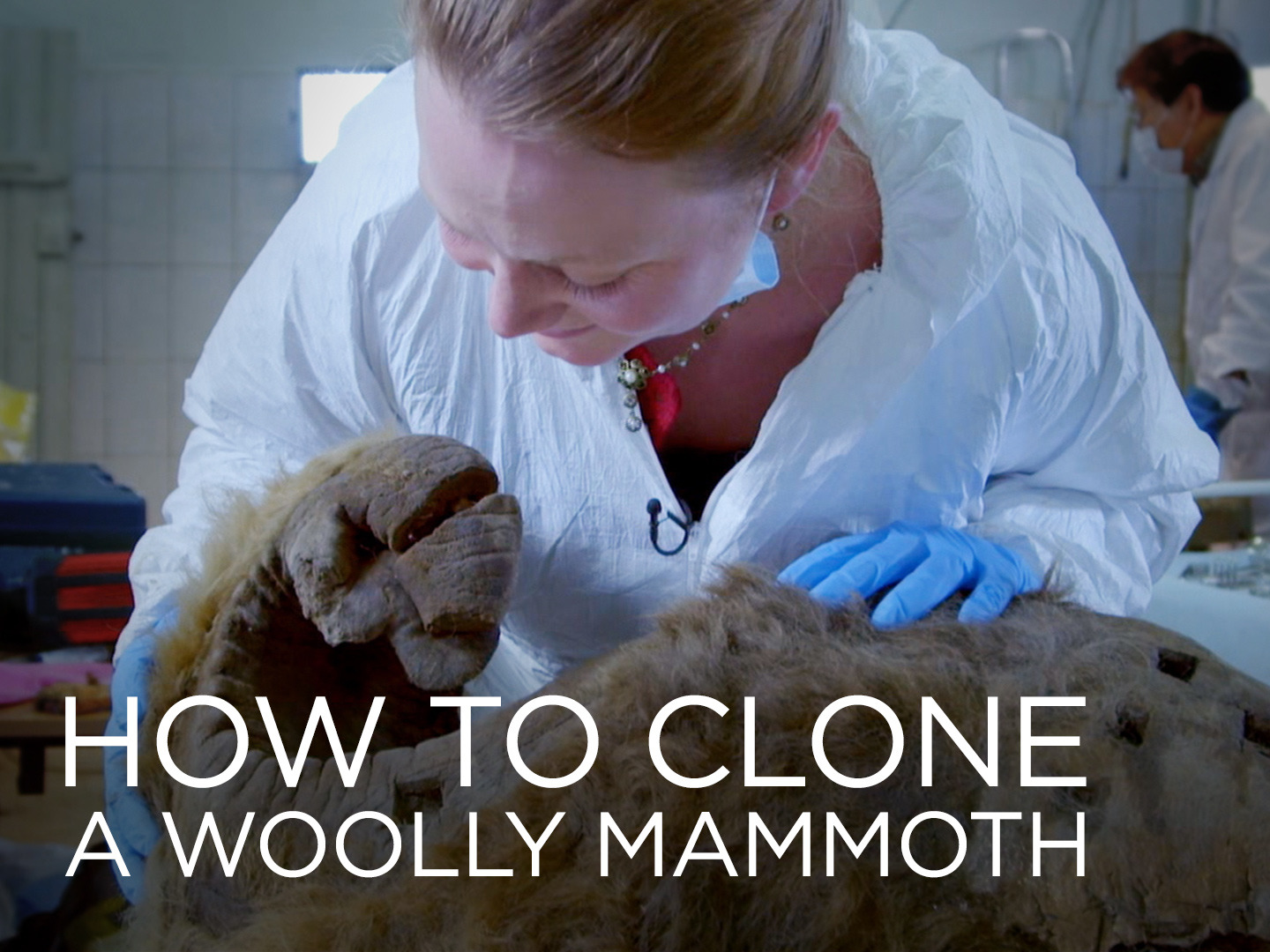 Prime Video: How to Clone a Woolly Mammoth
