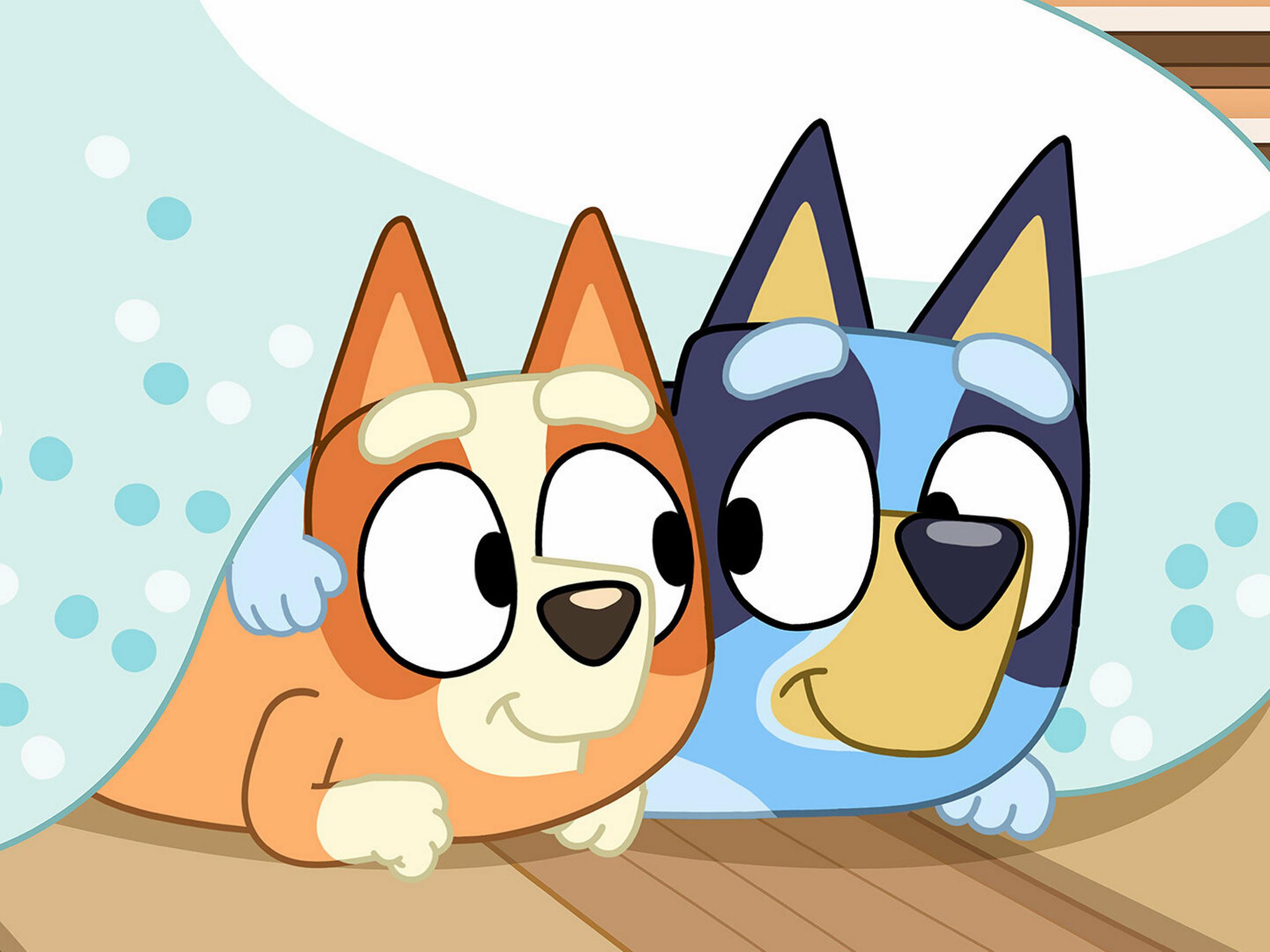 Prime Video: Bluey - Saison 2