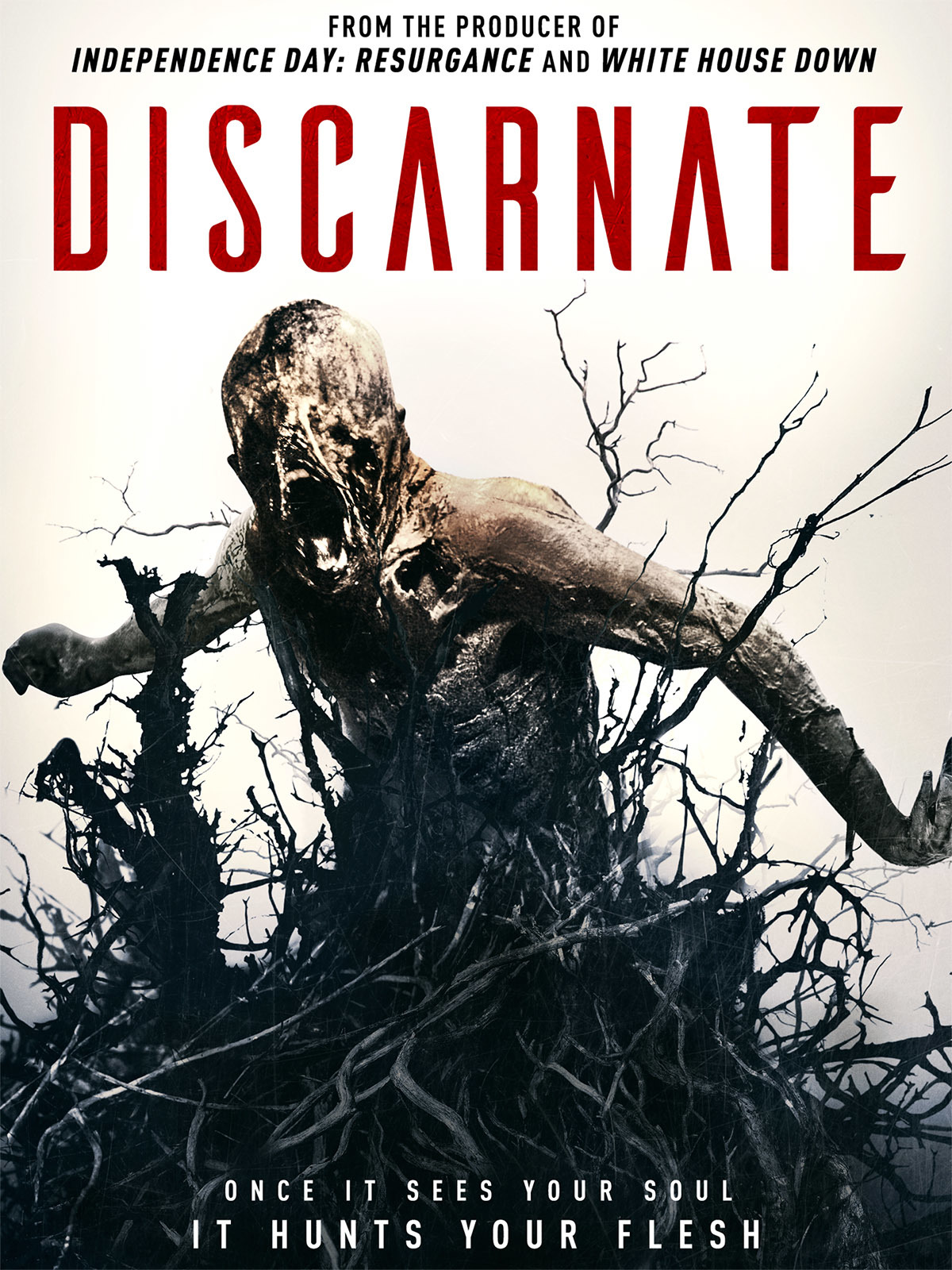 Prime Video: Discarnate