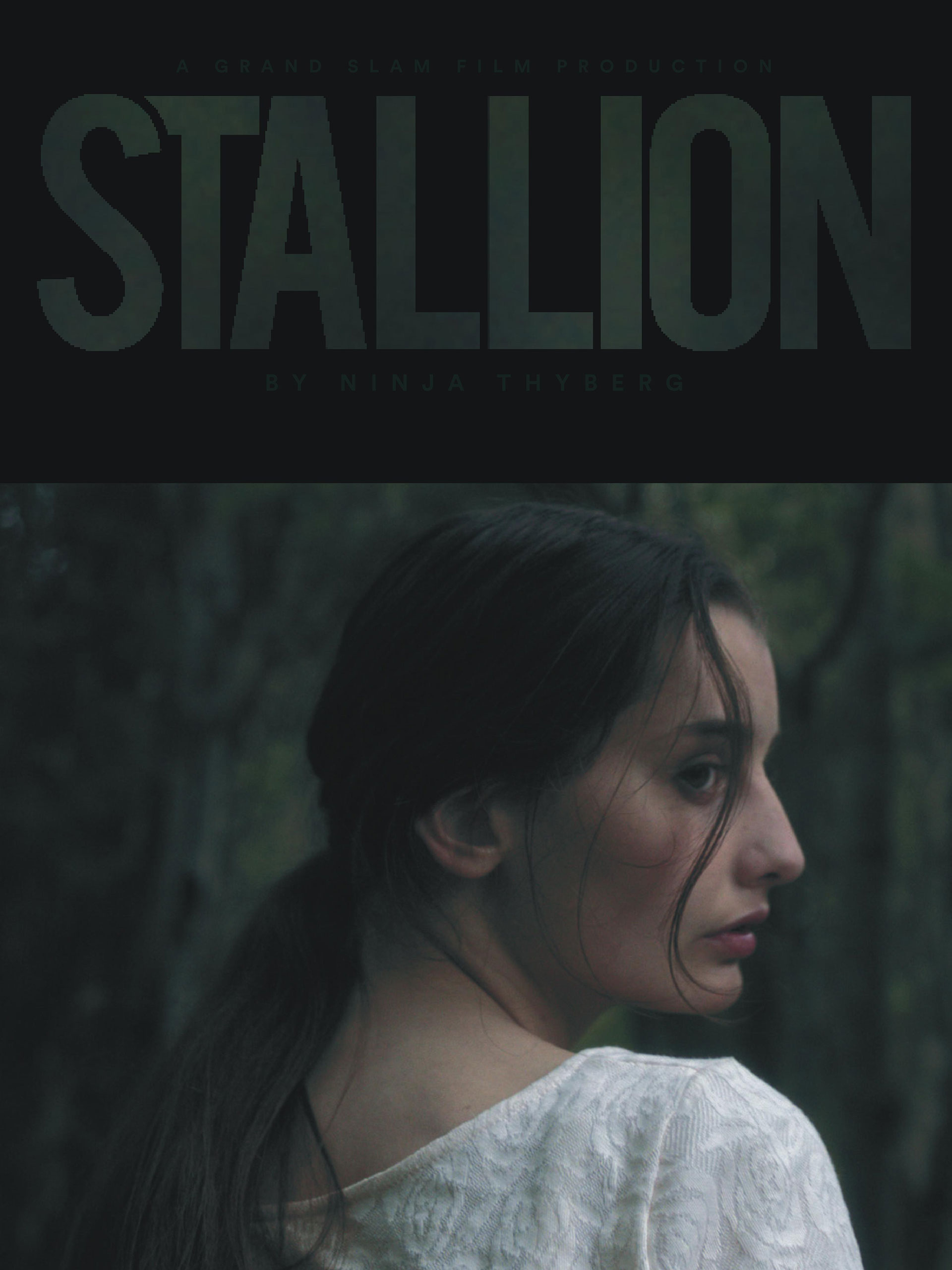 Prime Video: Stallion