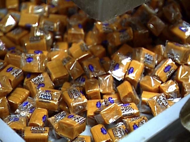 Prime Video: Unwrapped - Season 2