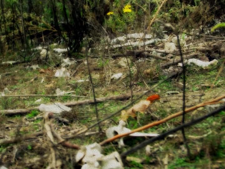 Amazon.com: Just Junie - Season 2 : Prime Video