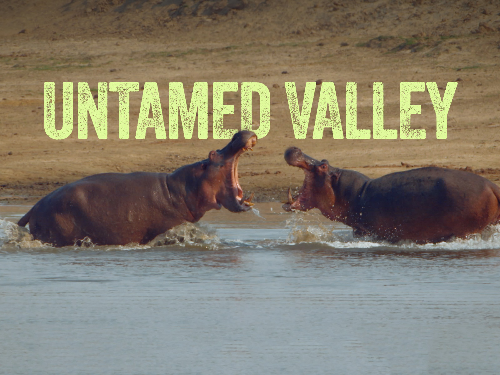 Prime Video: Untamed Valley - Season 1