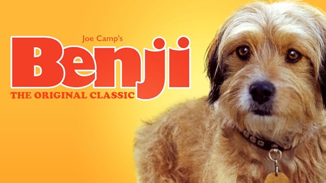 What Breed Dog Is Benji