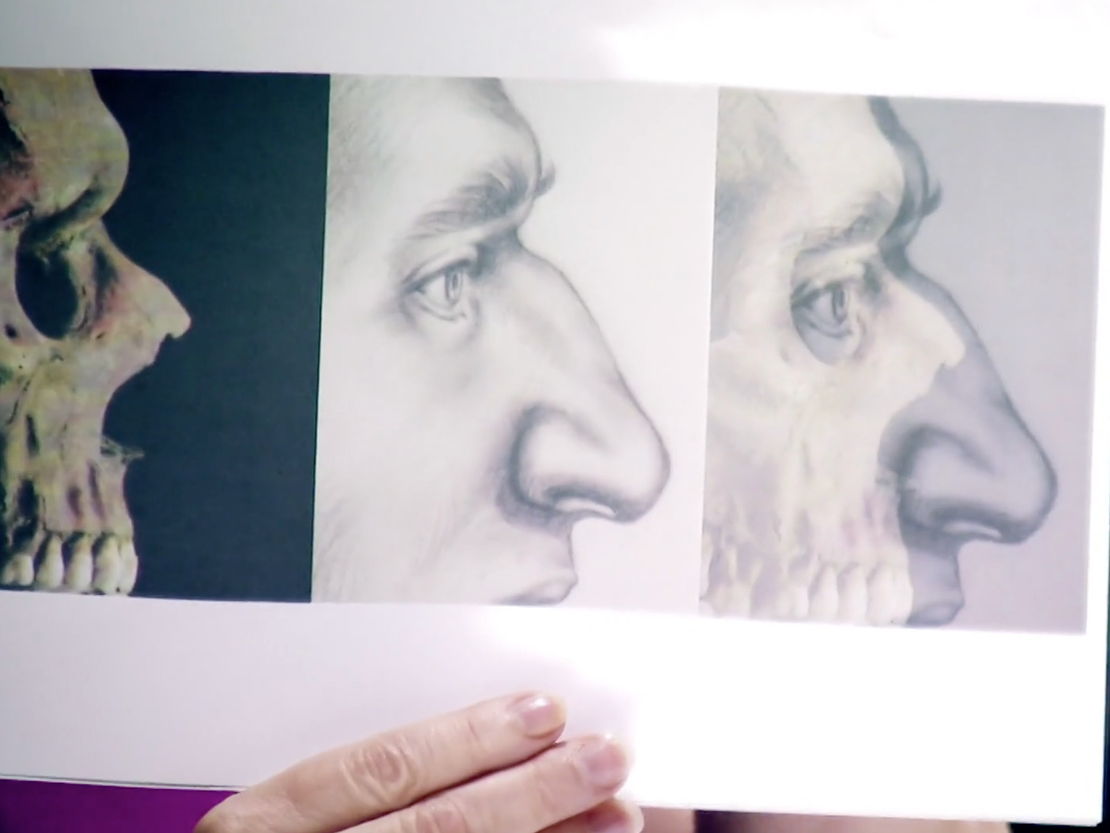 Prime Video: History Cold Case USA