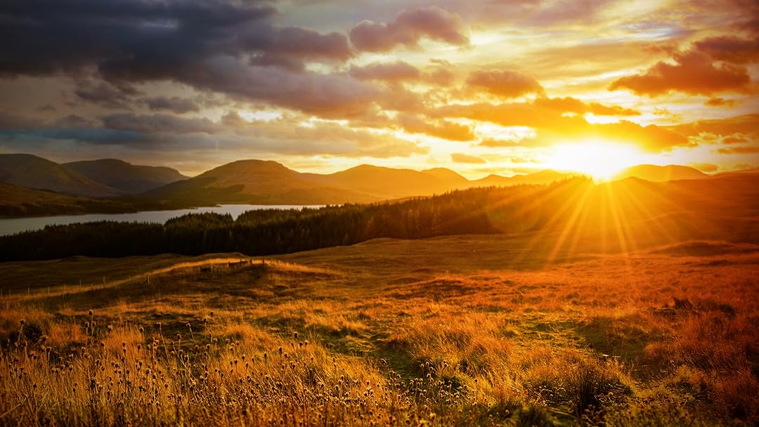 Prime Video: Autumnwatch 2022