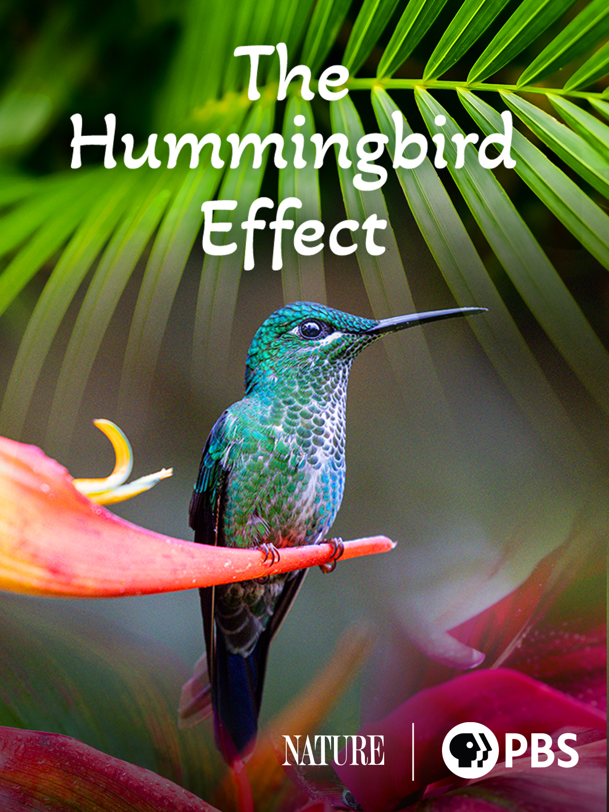 Prime Video: The Hummingbird Effect