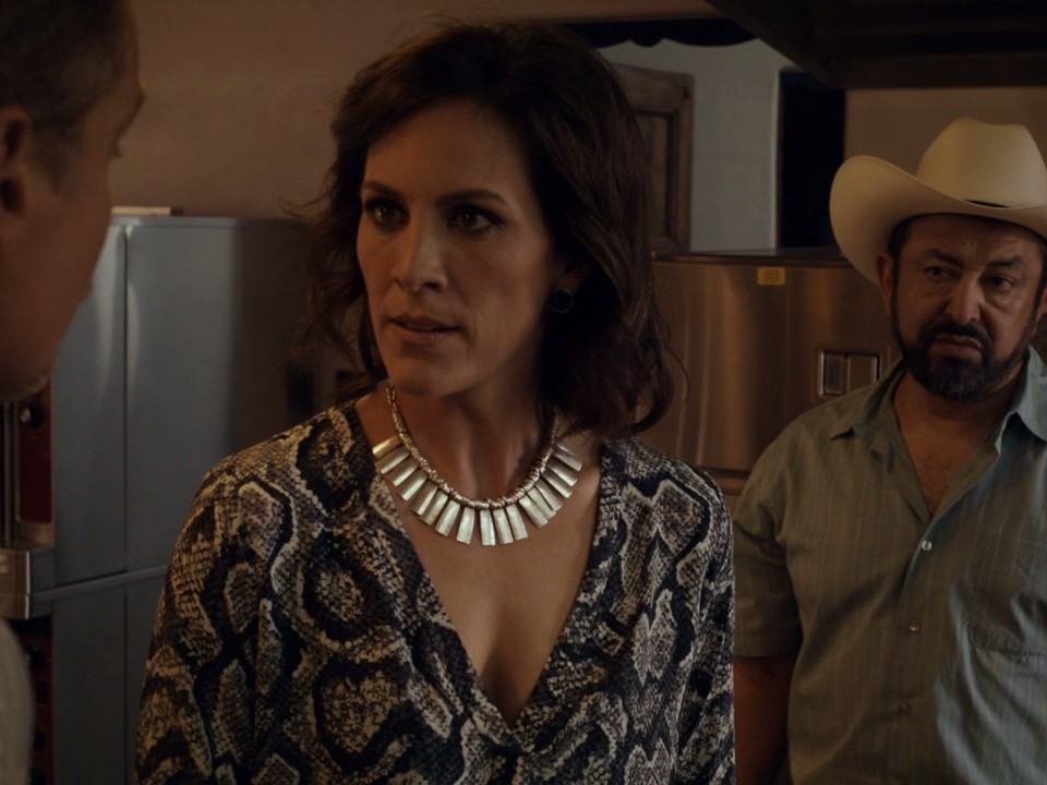 Prime Video: The Bridge Season 1