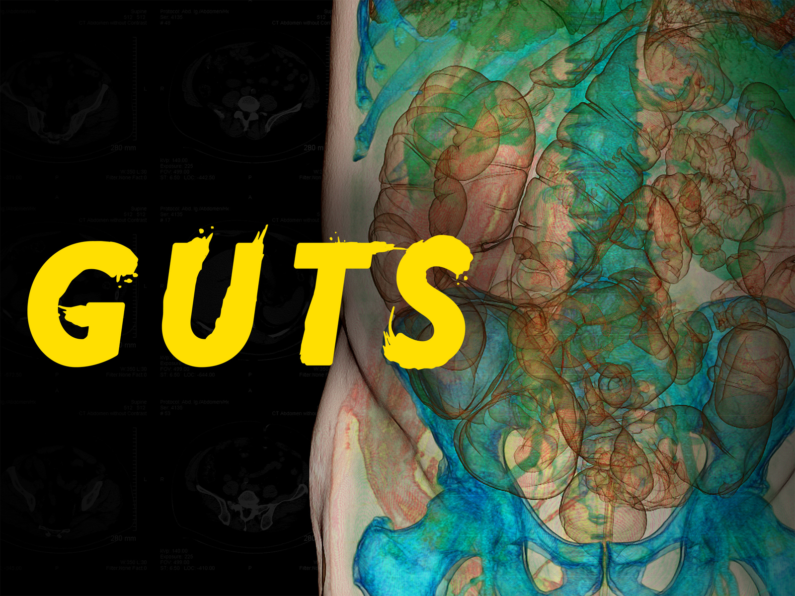 Prime Video: Guts - Season 1