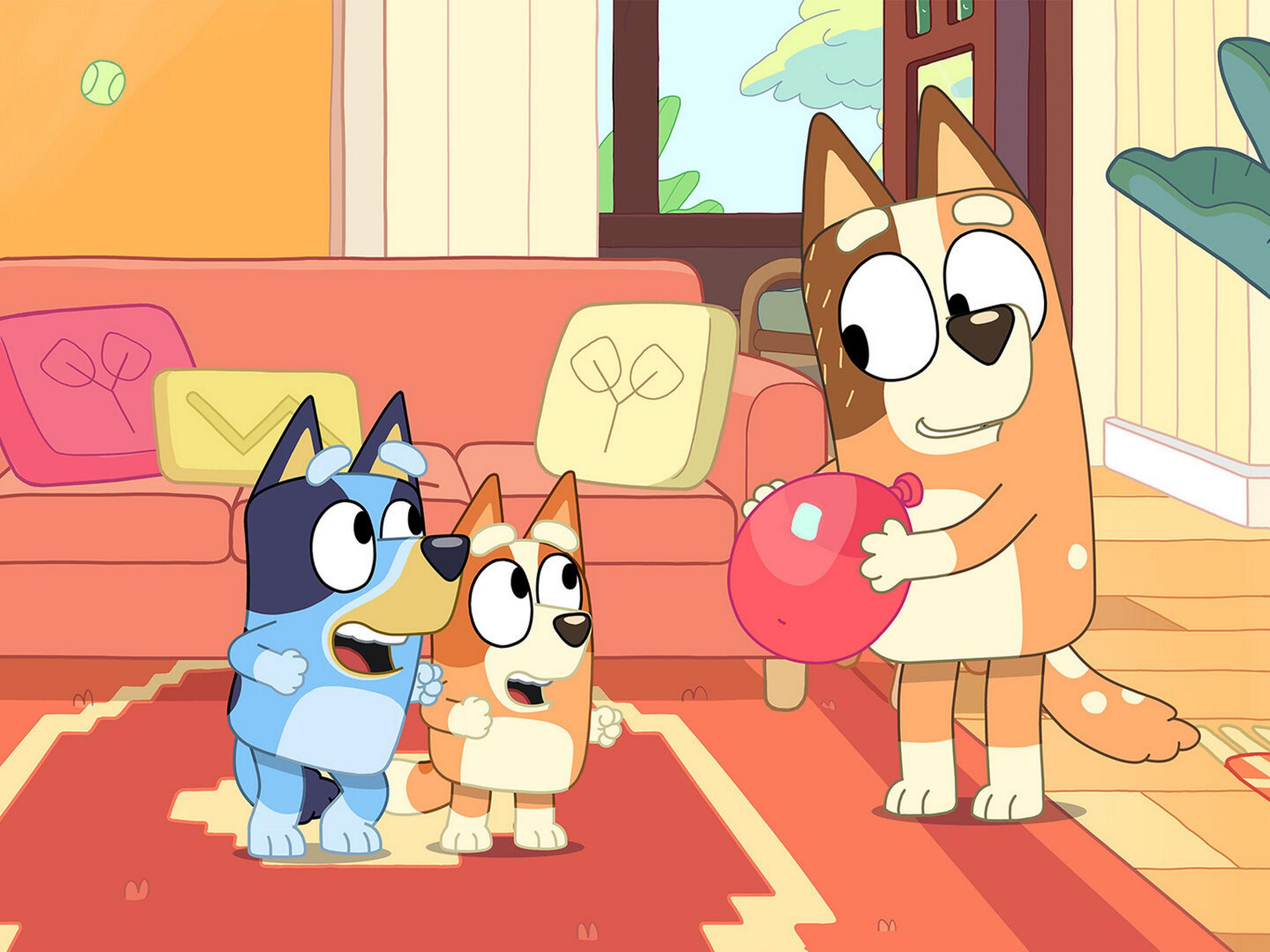 Prime Video: Bluey - Saison 1