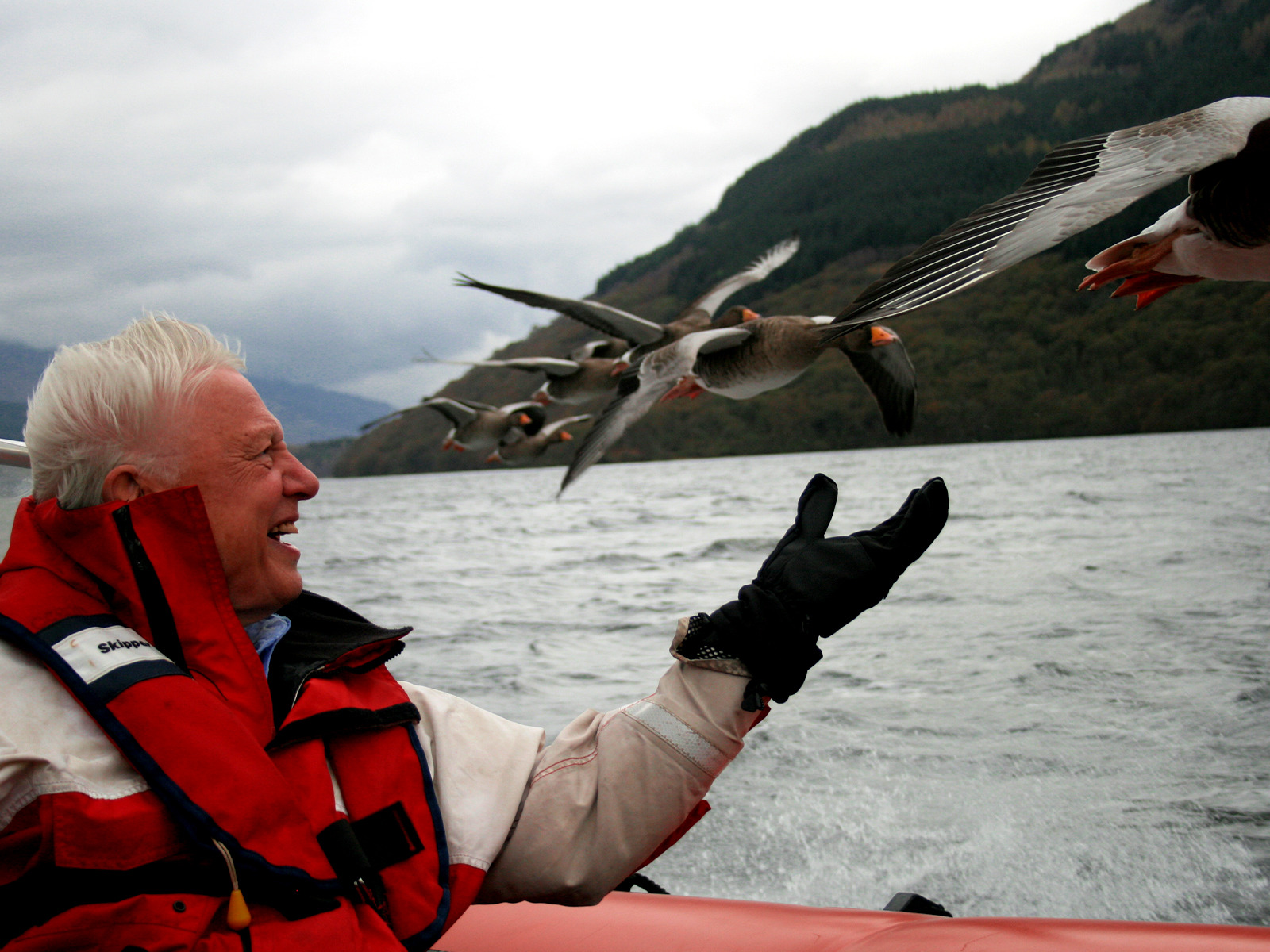 Prime Video: David Attenborough - 60 Years in the Wild