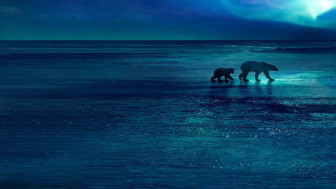 Watch Planet Earth: Frozen Planet II, Season 1 | Prime Video