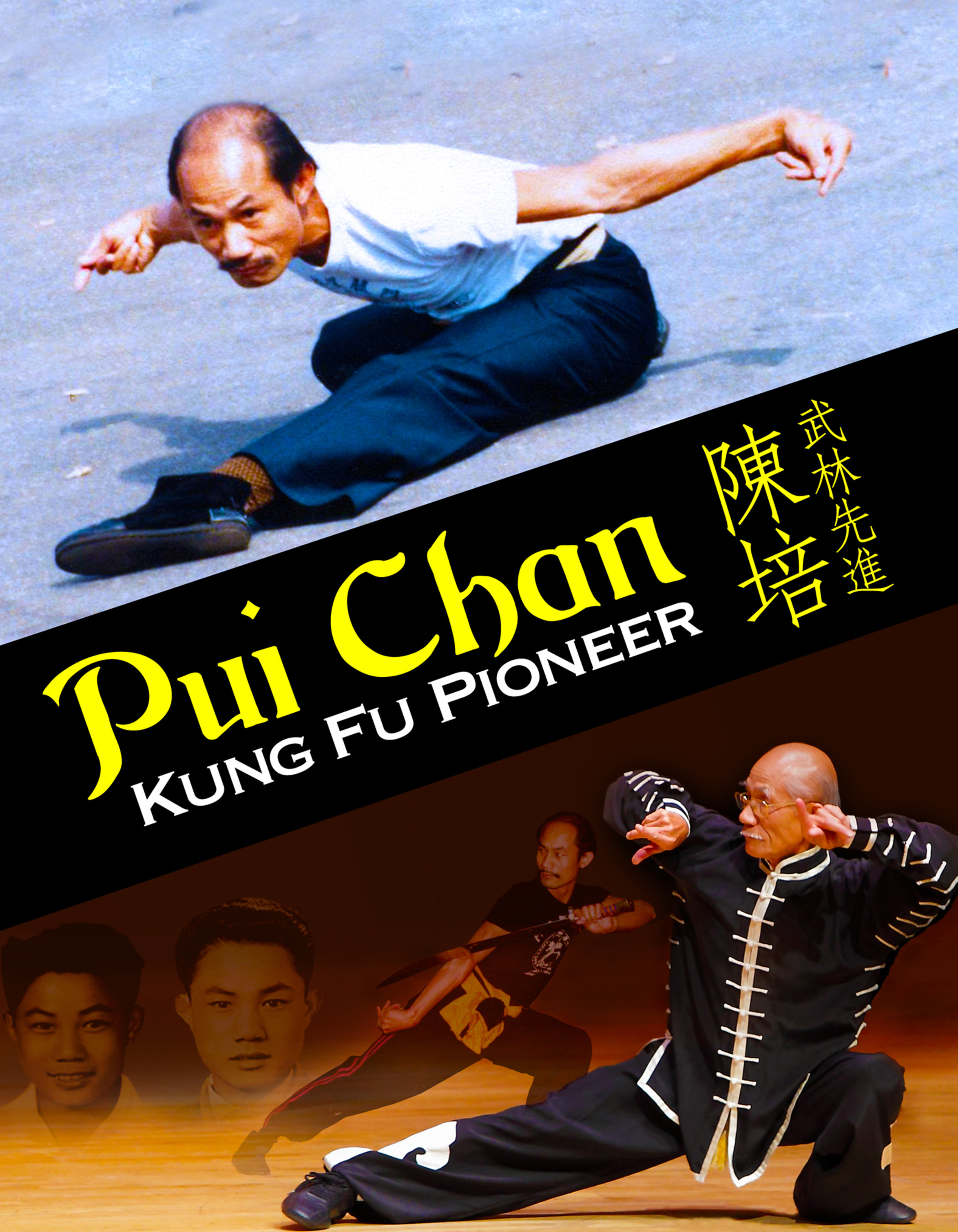 Prime Video: Pui Chan: Kung Fu Pioneer