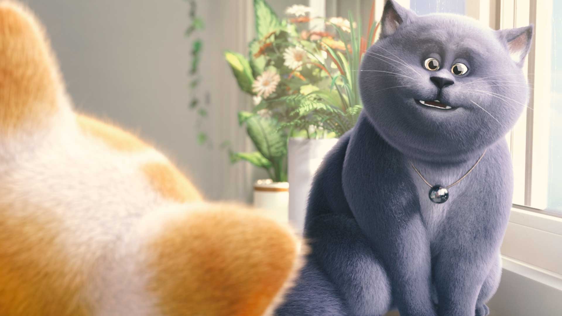 Watch Cats | Prime Video