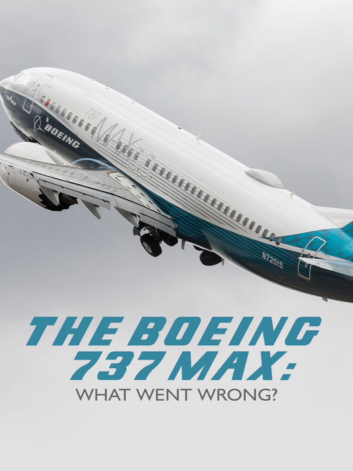 Prime Video: The Boeing 747 Max: What Went Wrong