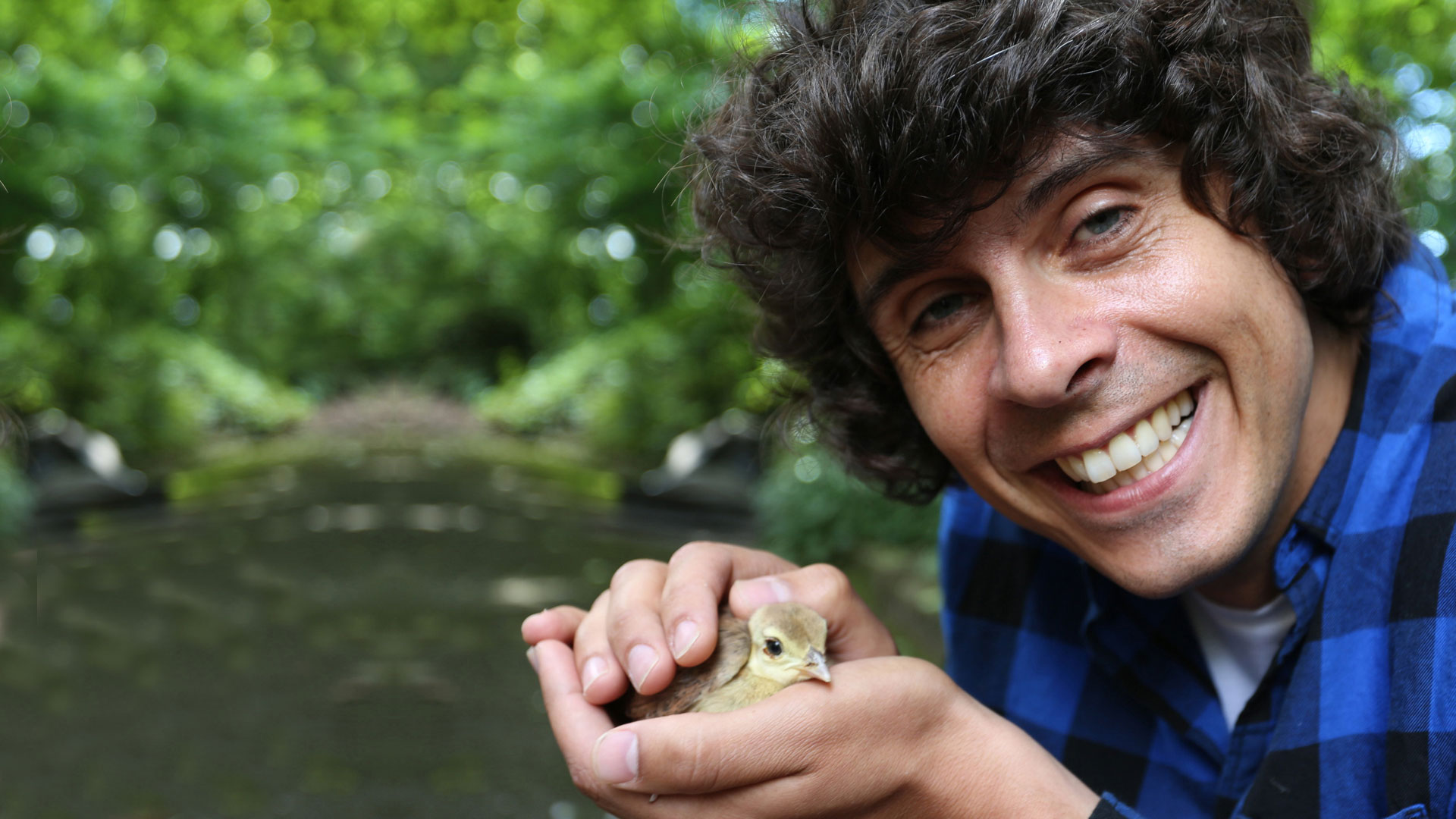 Prime Video: Andy's Baby Animals Vol. 1