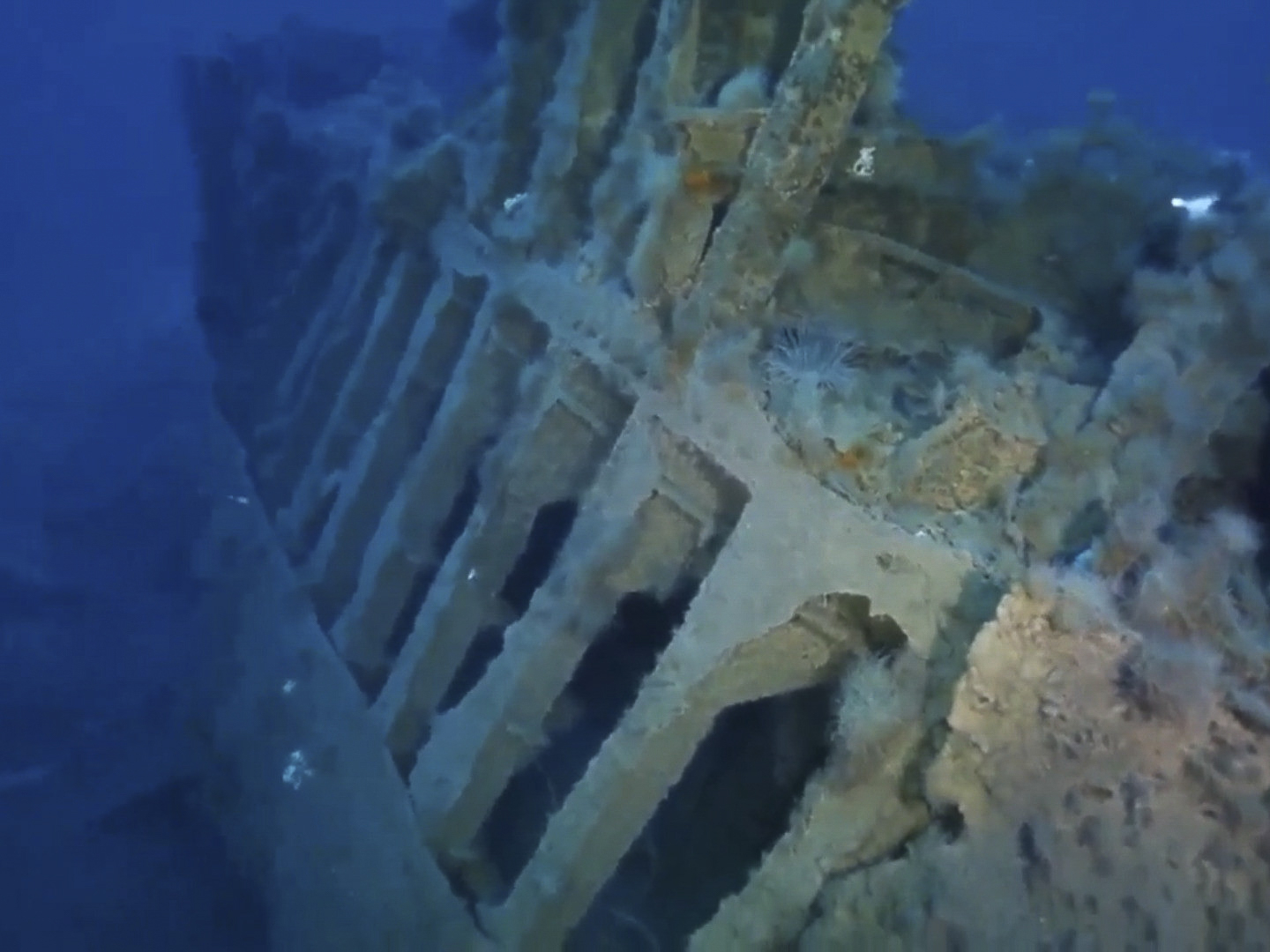 Prime Video: Shipwreck Secrets - Season 1