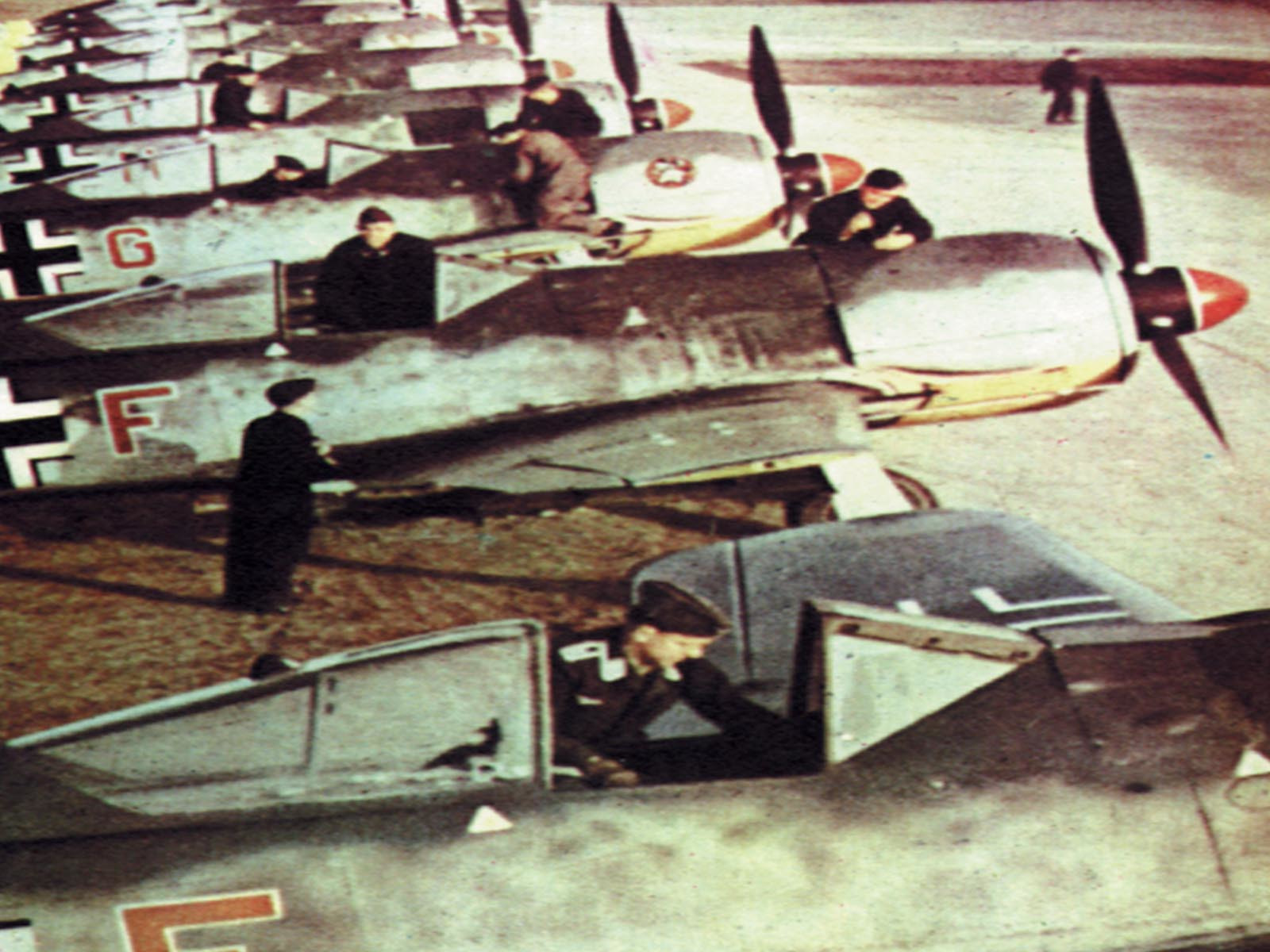 Prime Video: World War II: Through German Eyes