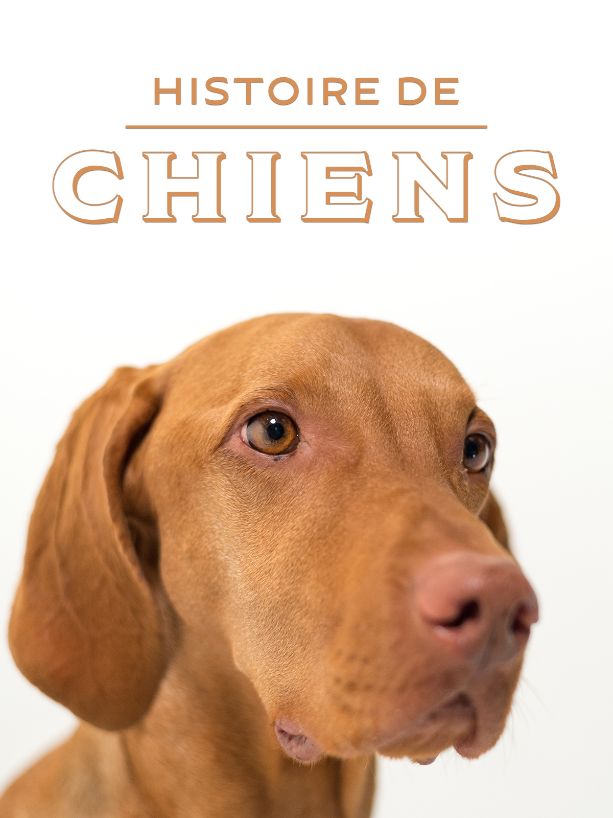 Prime Video: Histoires de chiens