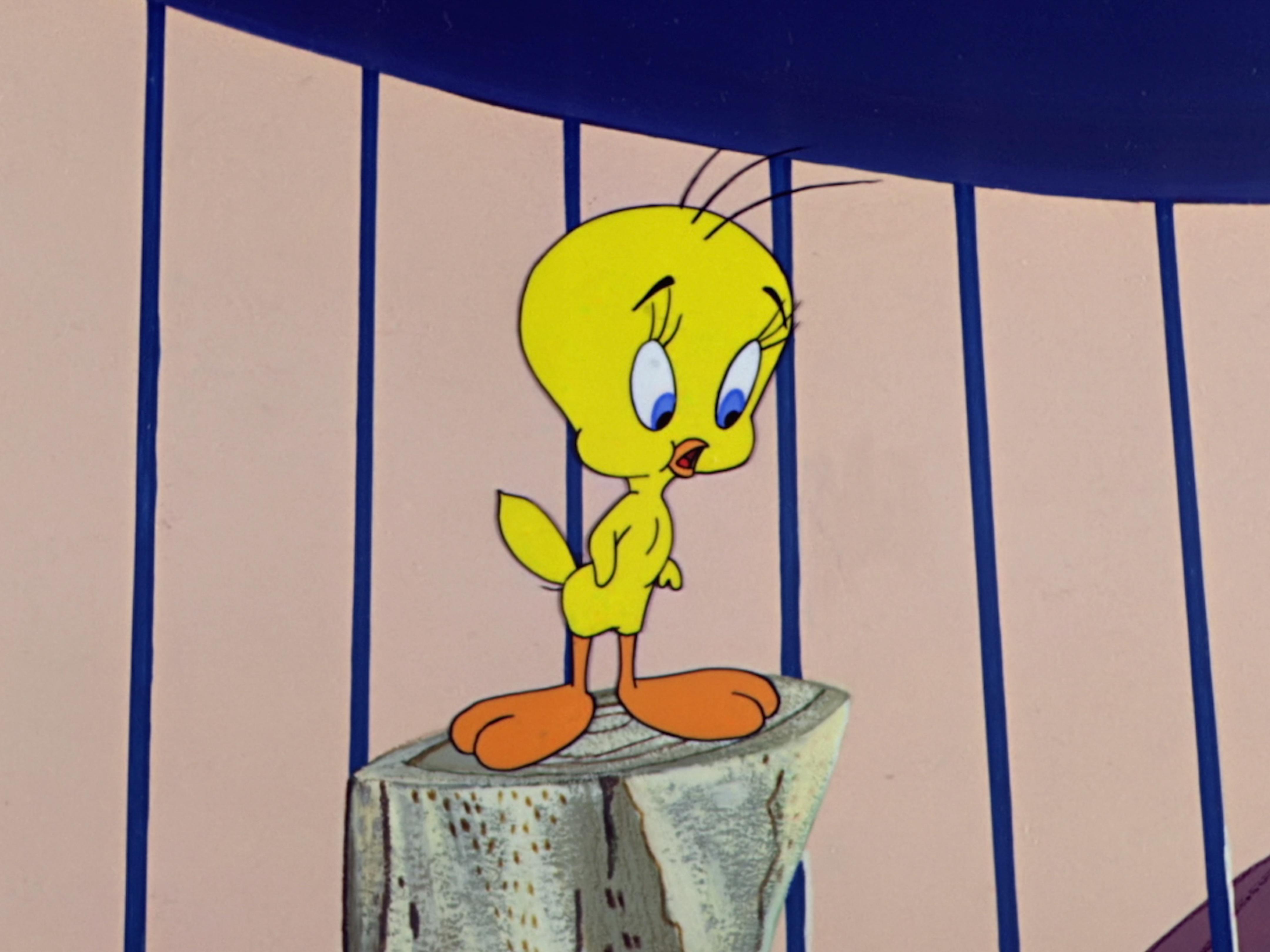 Prime Video: Looney Tunes - Season 22