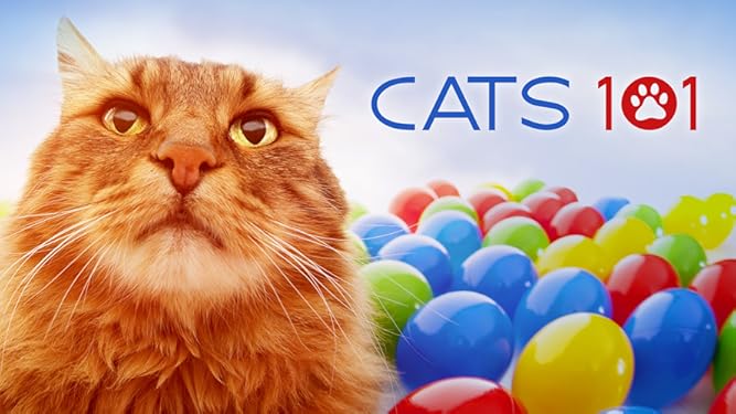 Cats 101