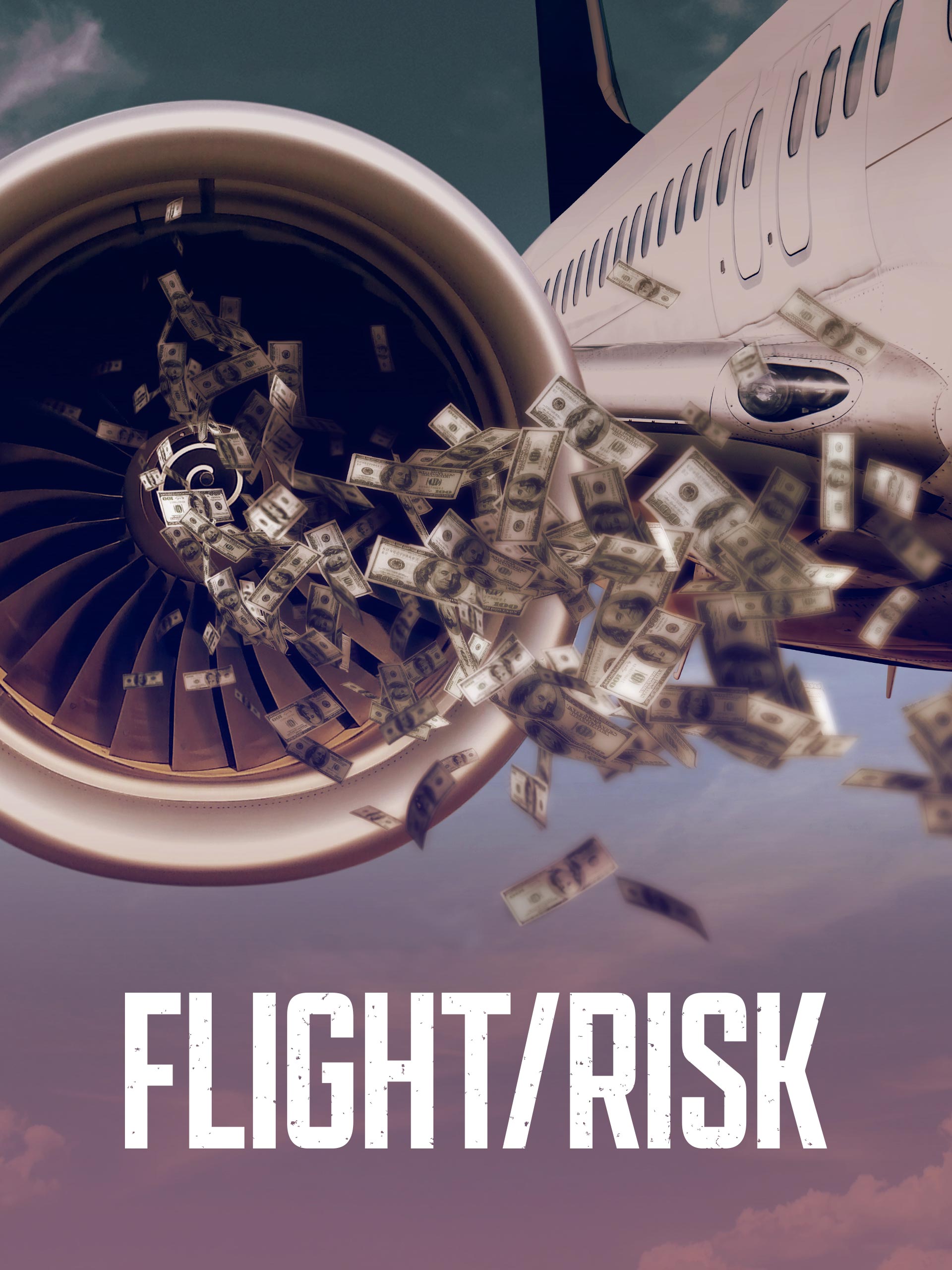 Prime Video: Flight / Risk