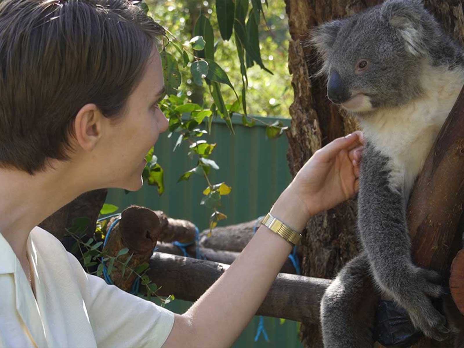 Prime Video: The Eco Show - Season 1