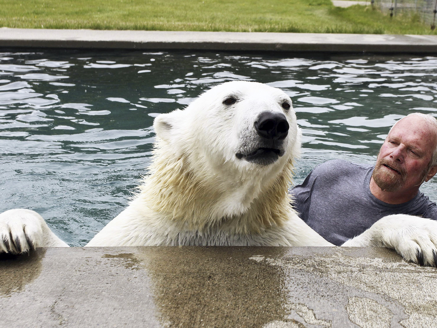 Prime Video: Preposterous Pets - Season 1