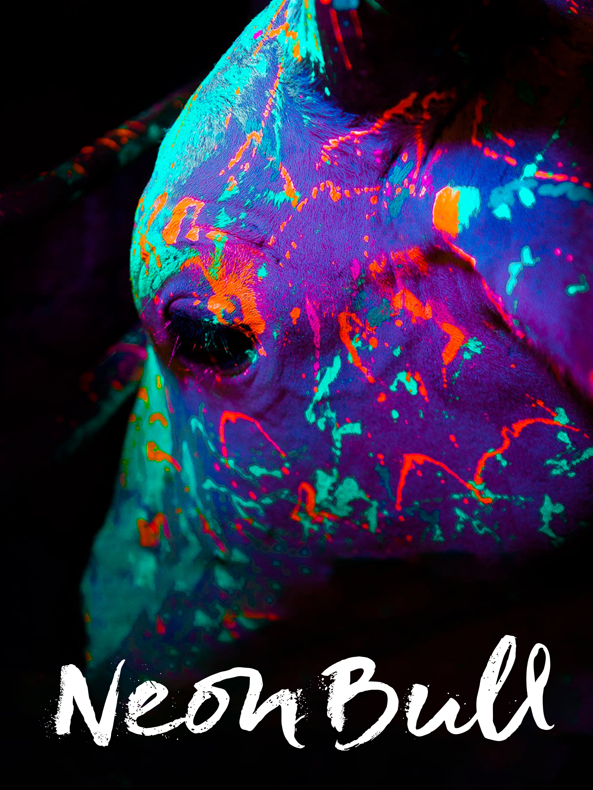 Prime Video: Neon Bull