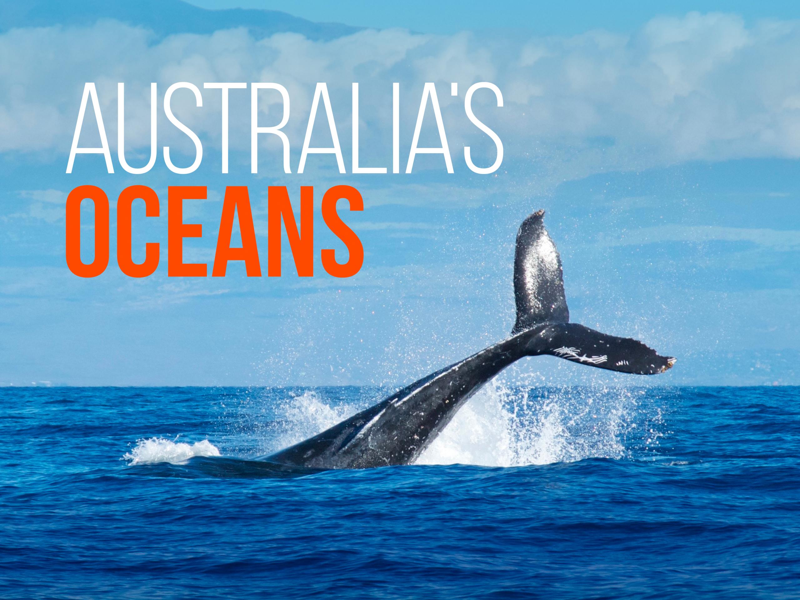 Prime Video: Australia's Oceans