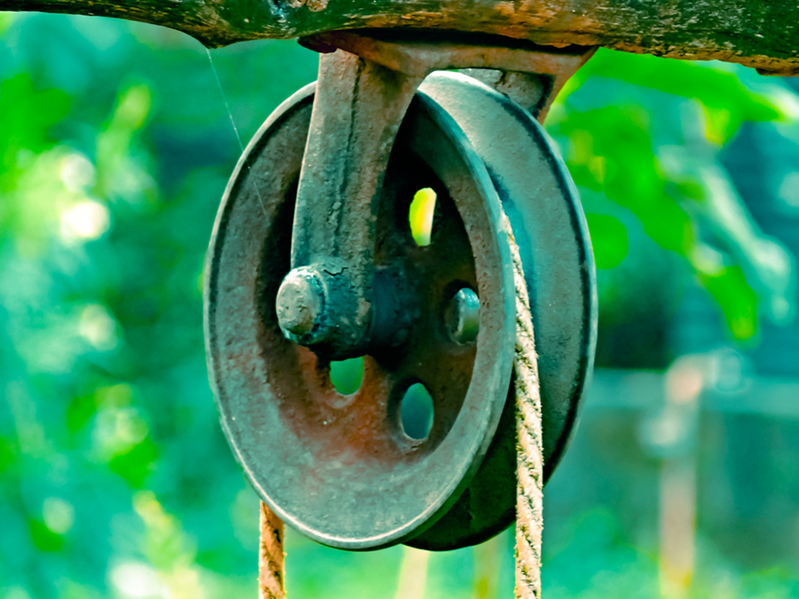 Prime Video: Everyday Engineering: Understanding the Marvels of Daily Life