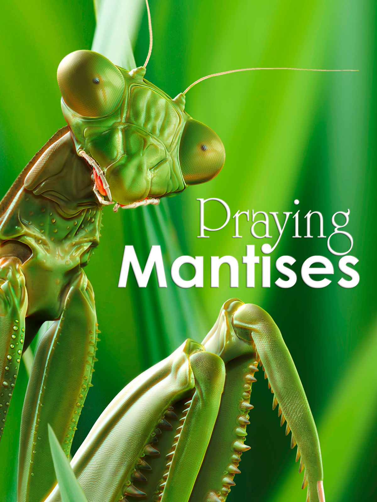 Prime Video: Praying Mantises - The Kung Fu Killers of the Insect Kingdom