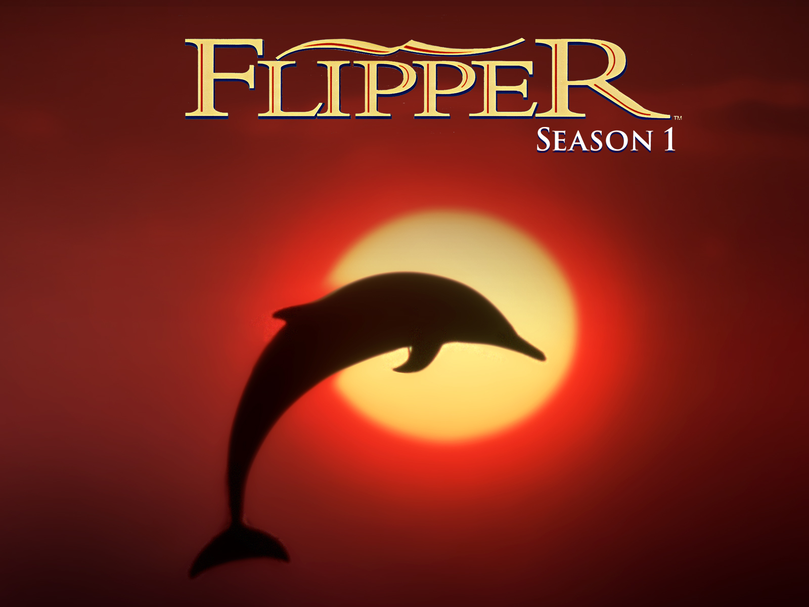 Prime Video: Flipper (1995)