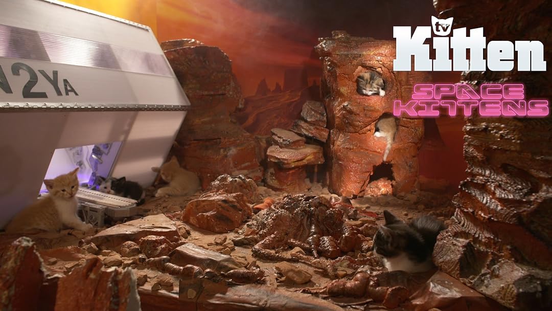 Amazon.com: Kitten TV - Space Kittens : ---, Frederick Kroetsch, Kurt Spenrath, Rebecca Campbell ...