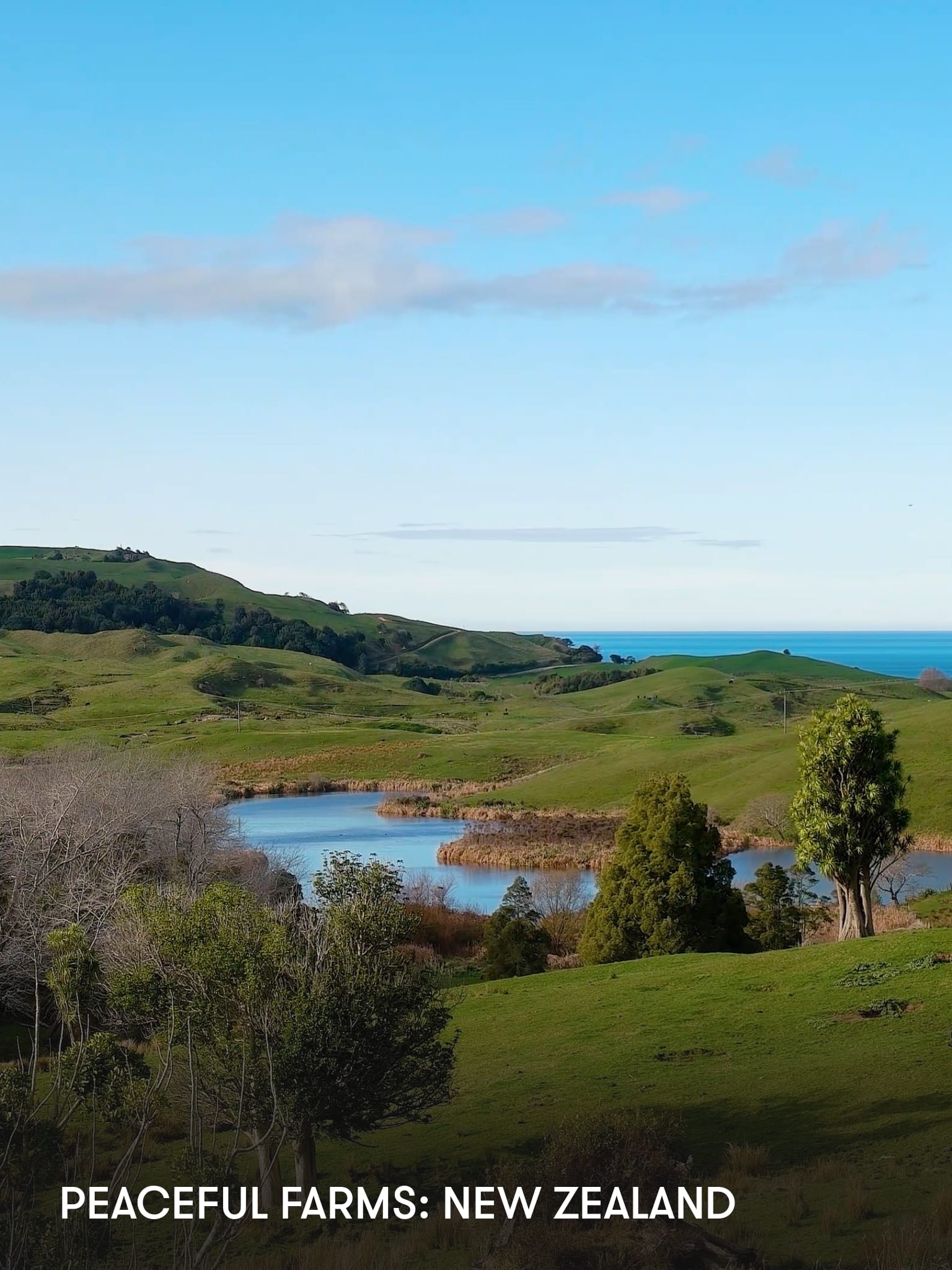 Prime Video: Peaceful Farms: New Zealand