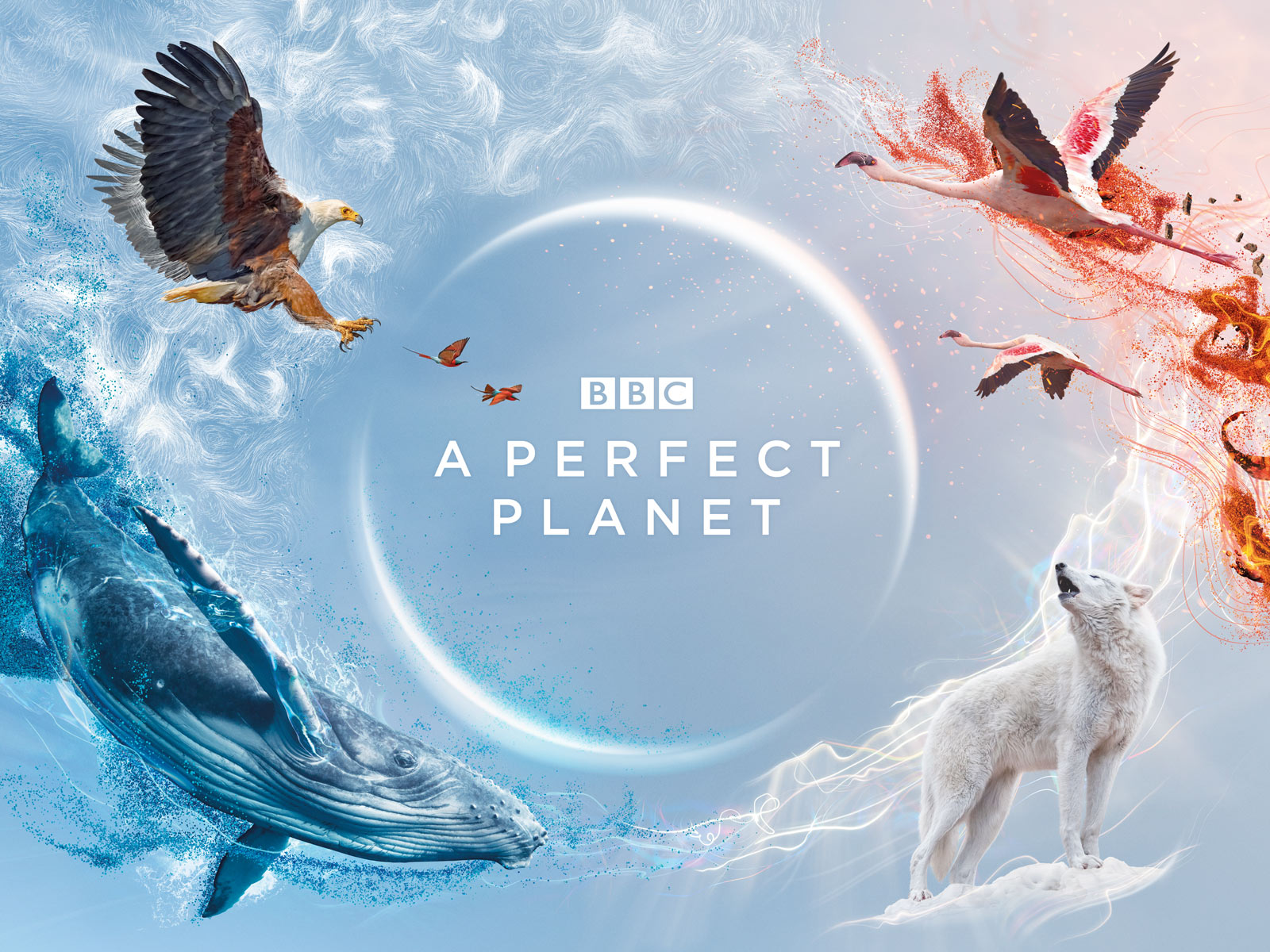 Prime Video: A Perfect Planet