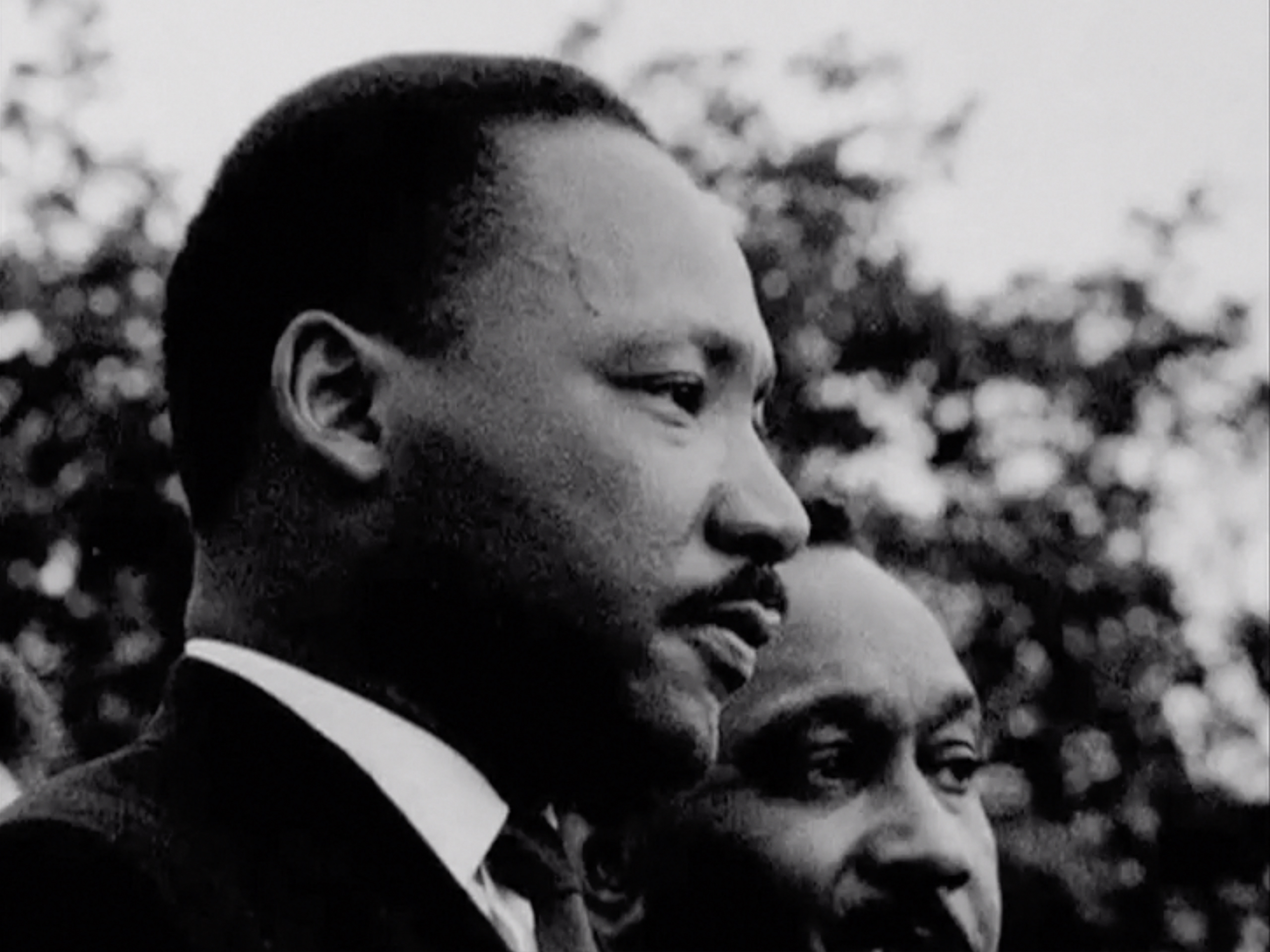 Prime Video: Black America Since MLK: And Still I Rise