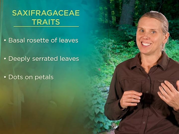 Prime Video: The Botanist's Eye: Identifying the Plants around You