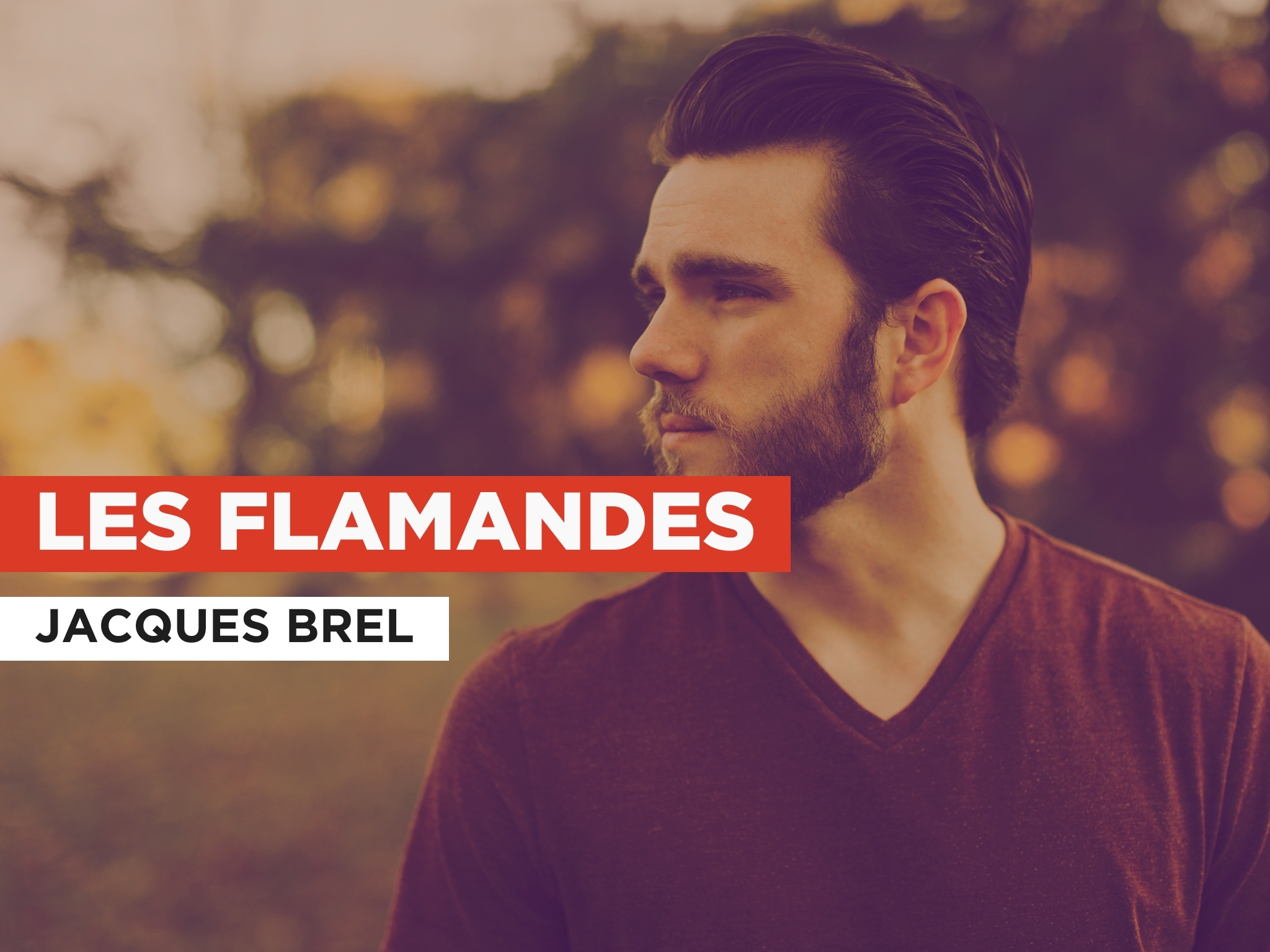 Jacques Brel Wallpaper