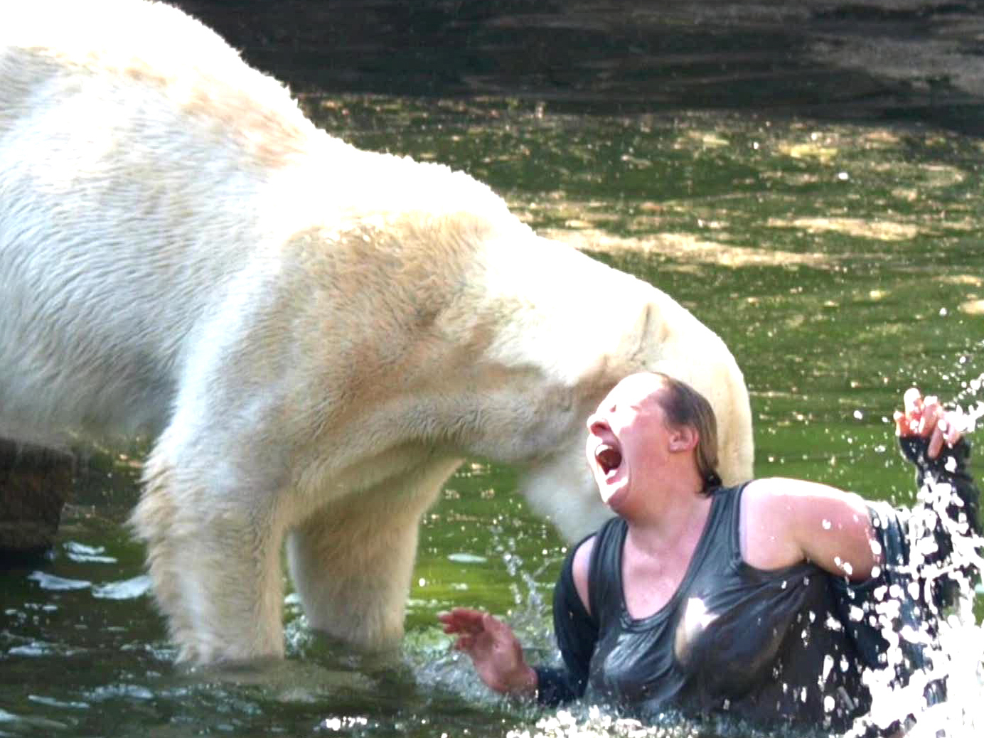 Prime Video: When Vacations Attack! - Season 2