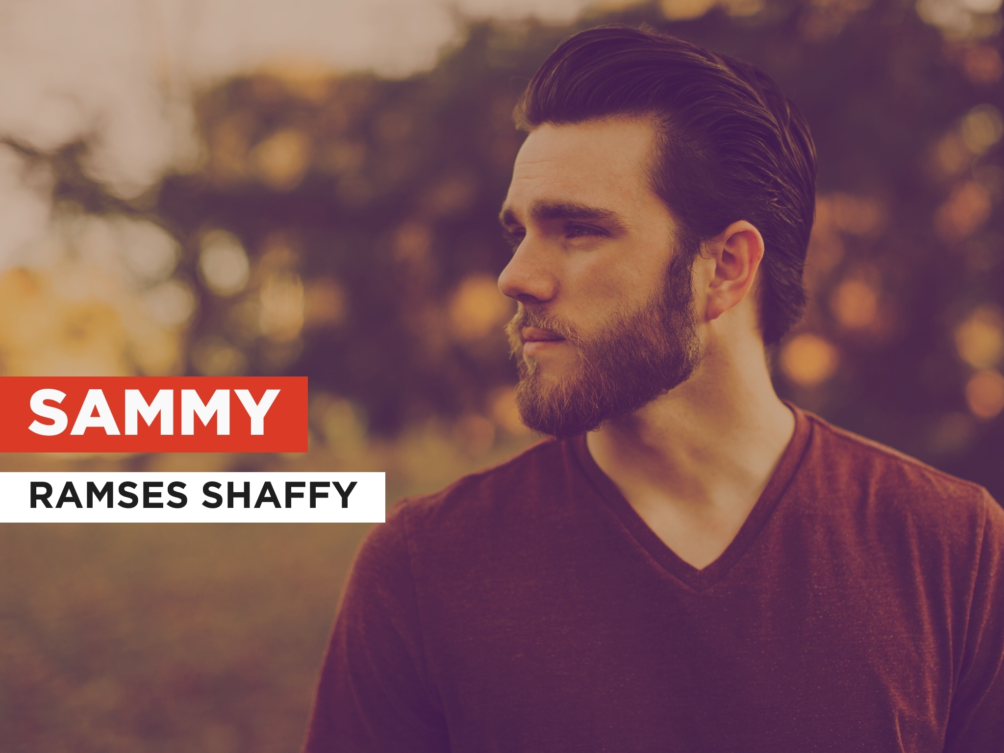 Prime Video: Sammy in the Style of Ramses Shaffy