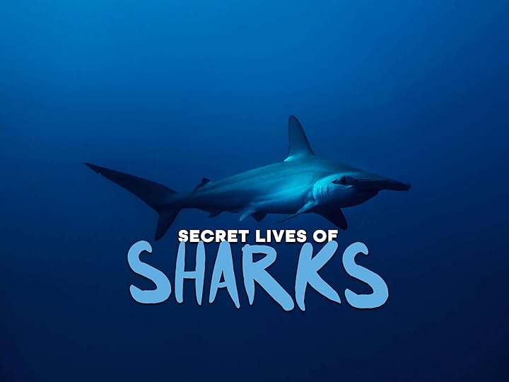 Prime Video: The Secret Lives of Sharks - Season 1