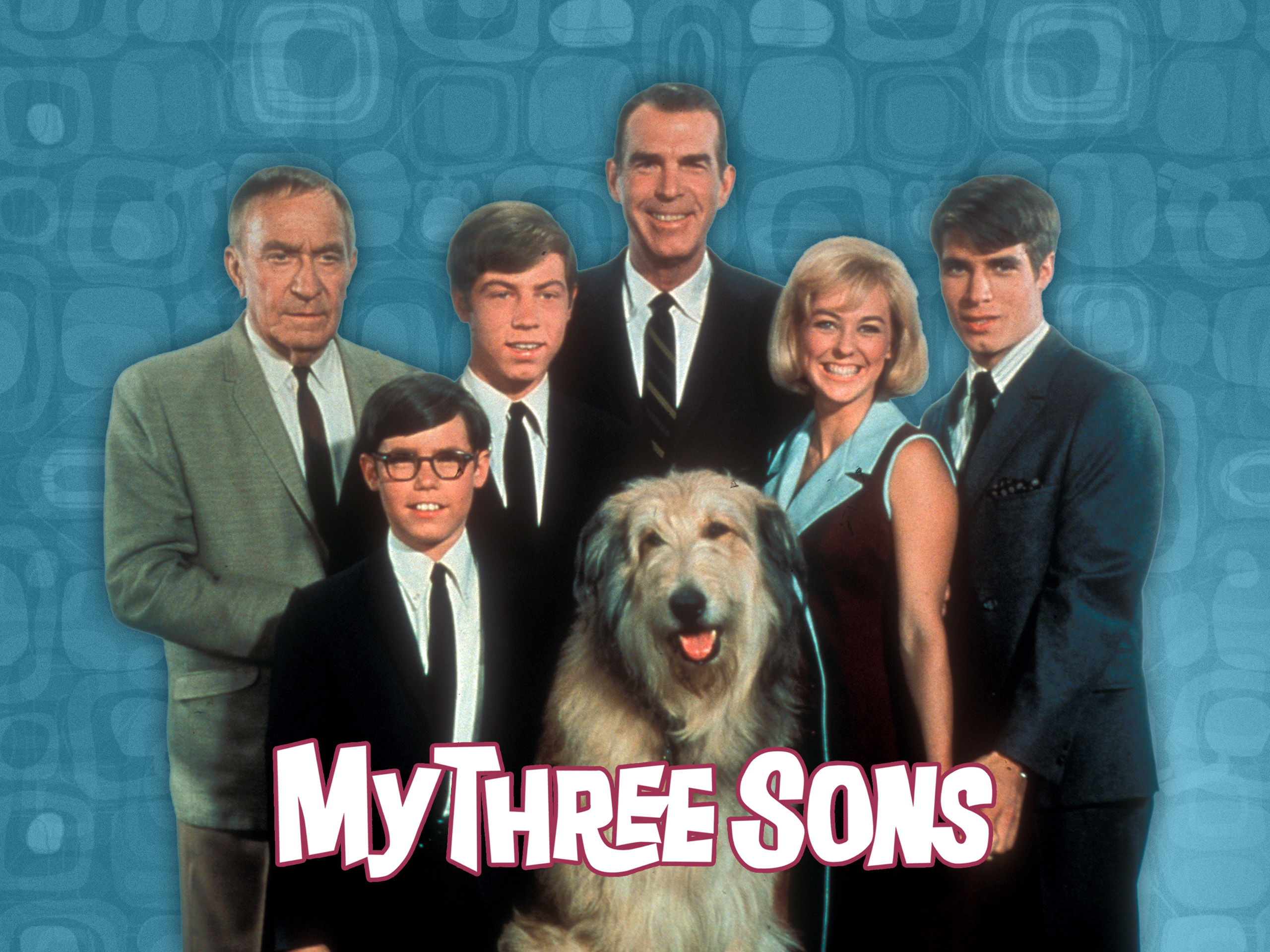 Prime Video: My Three Sons 2
