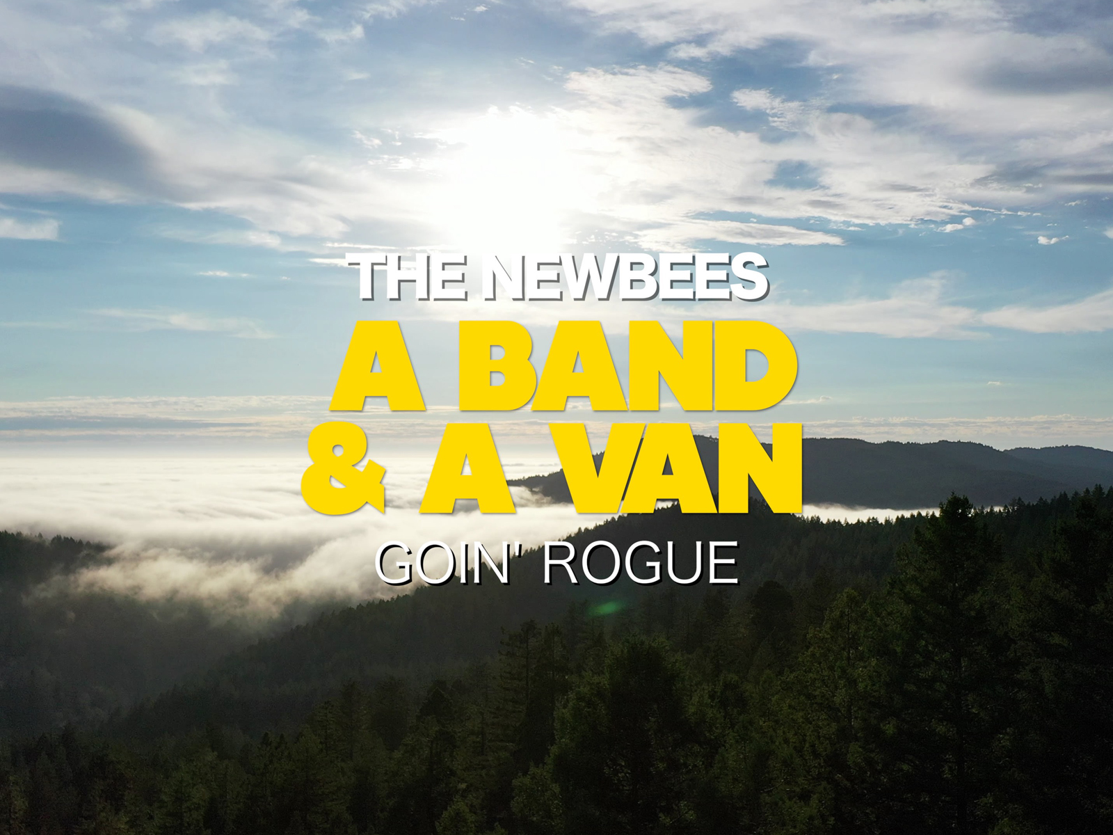 Prime Video: The Newbees - A Band & A Van