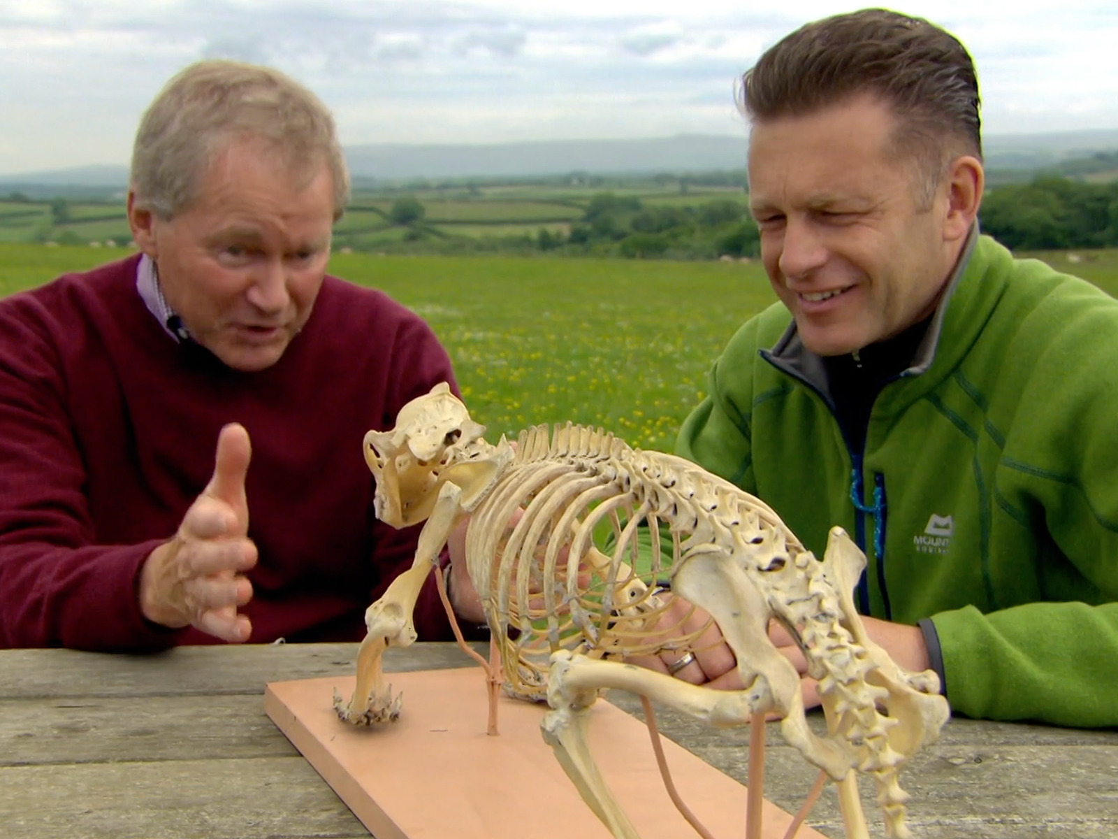 Prime Video: The Burrowers: Animals Underground