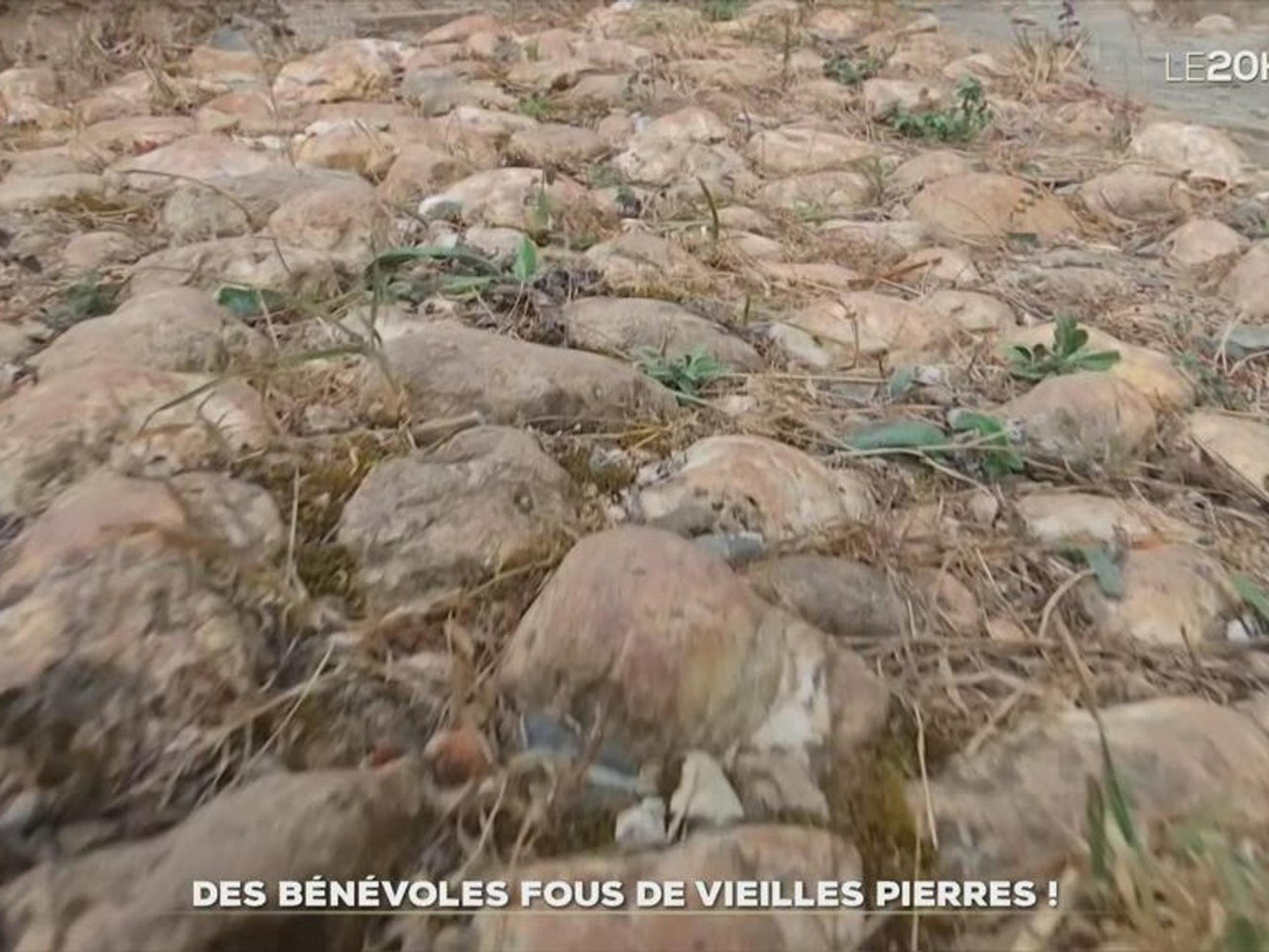 Prime Video: Le Journal du week-end - Saison 40