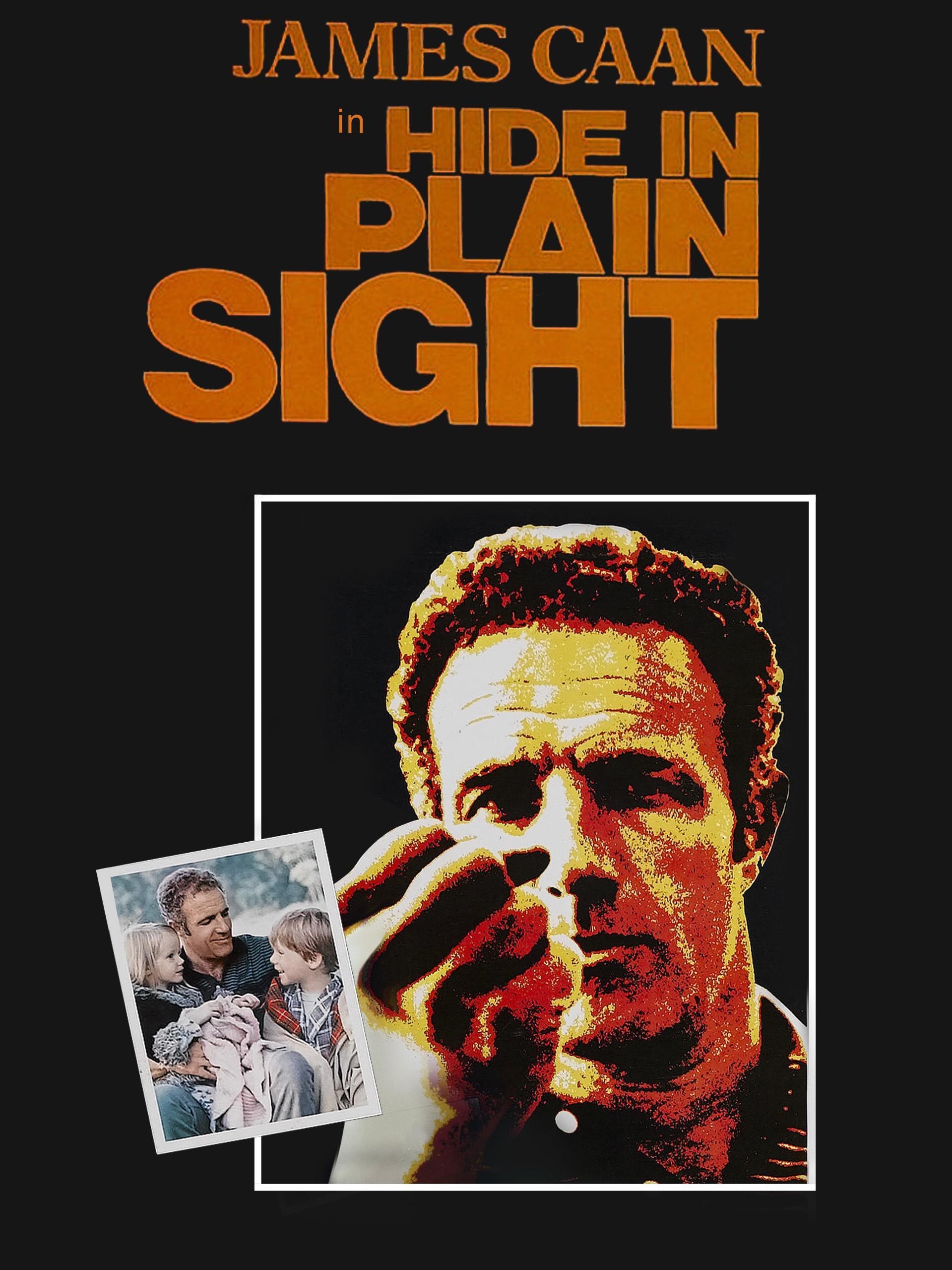 Prime Video: Hide in Plain Sight